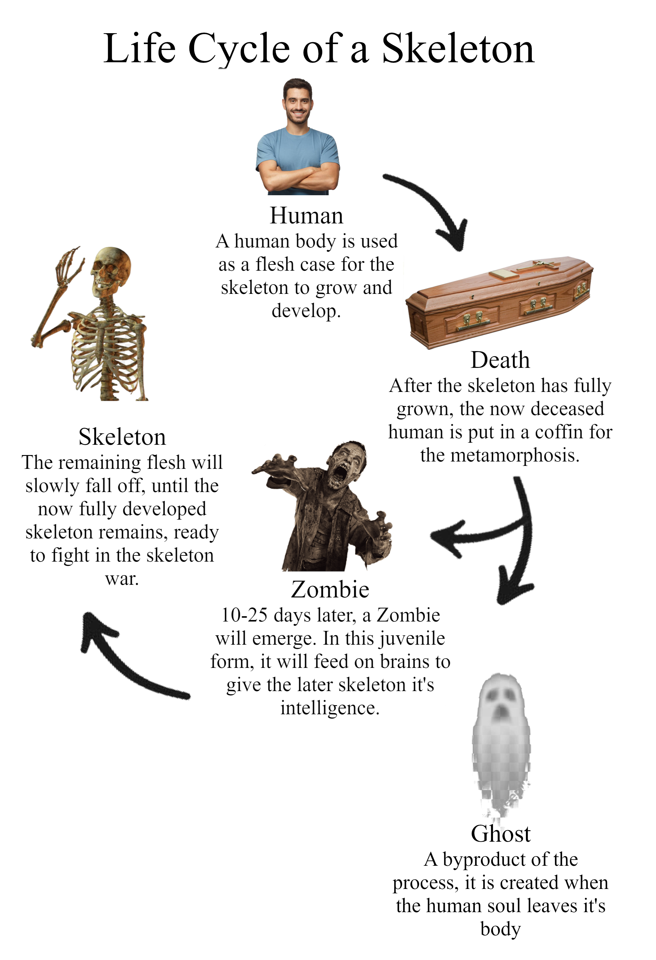 Spooky diagram | Scrolller