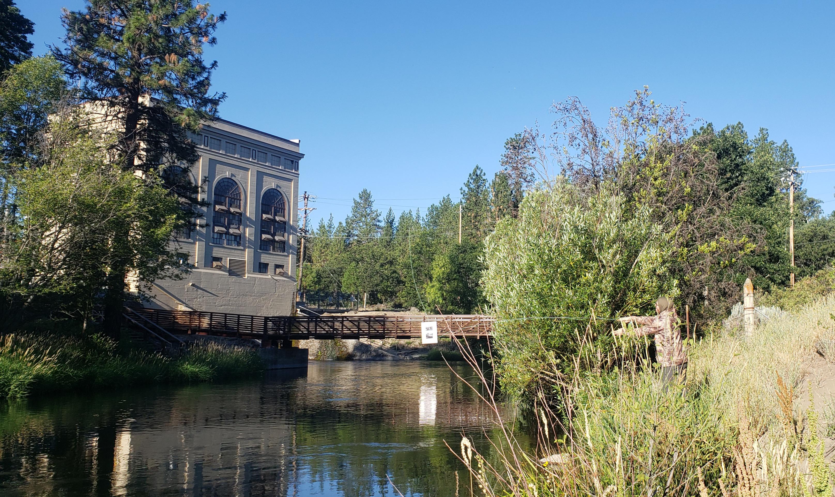 Spot the Kyle | Scrolller