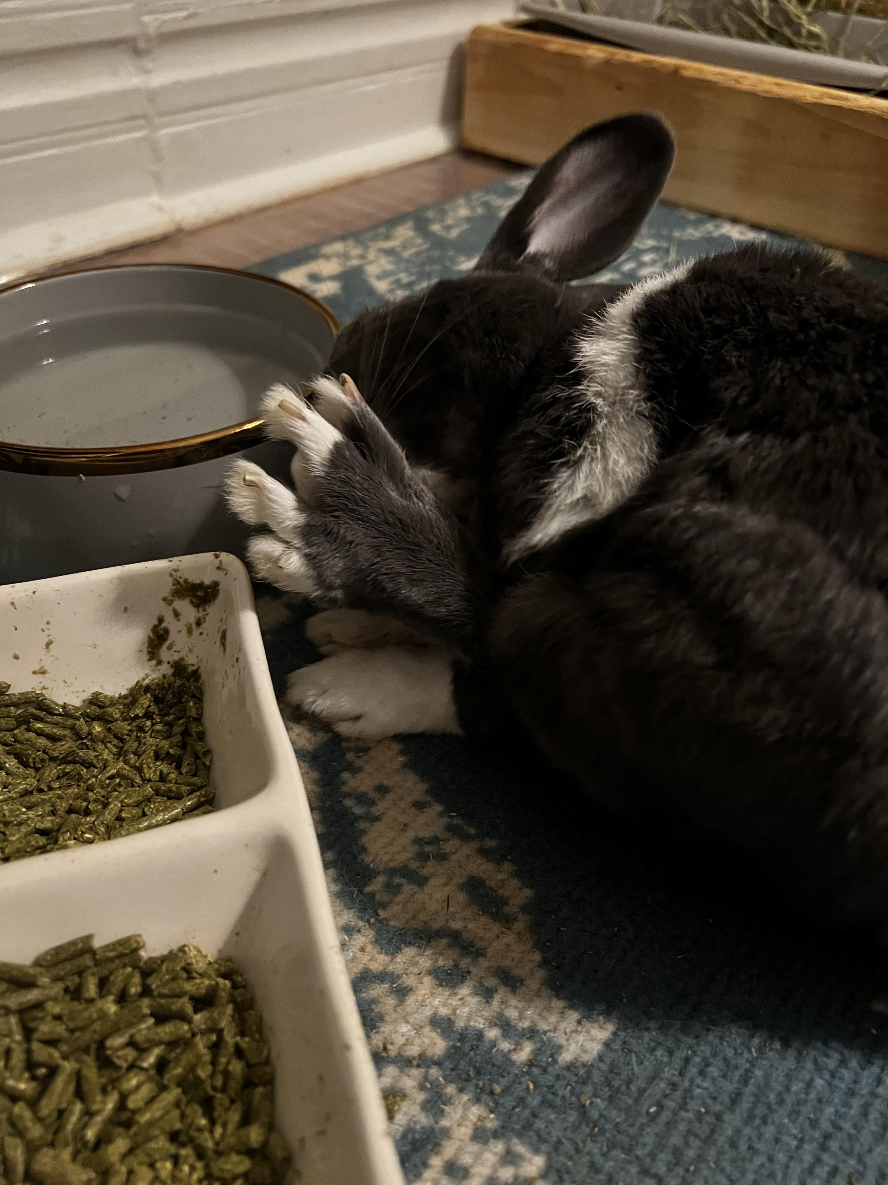 Spread ‘em | Scrolller