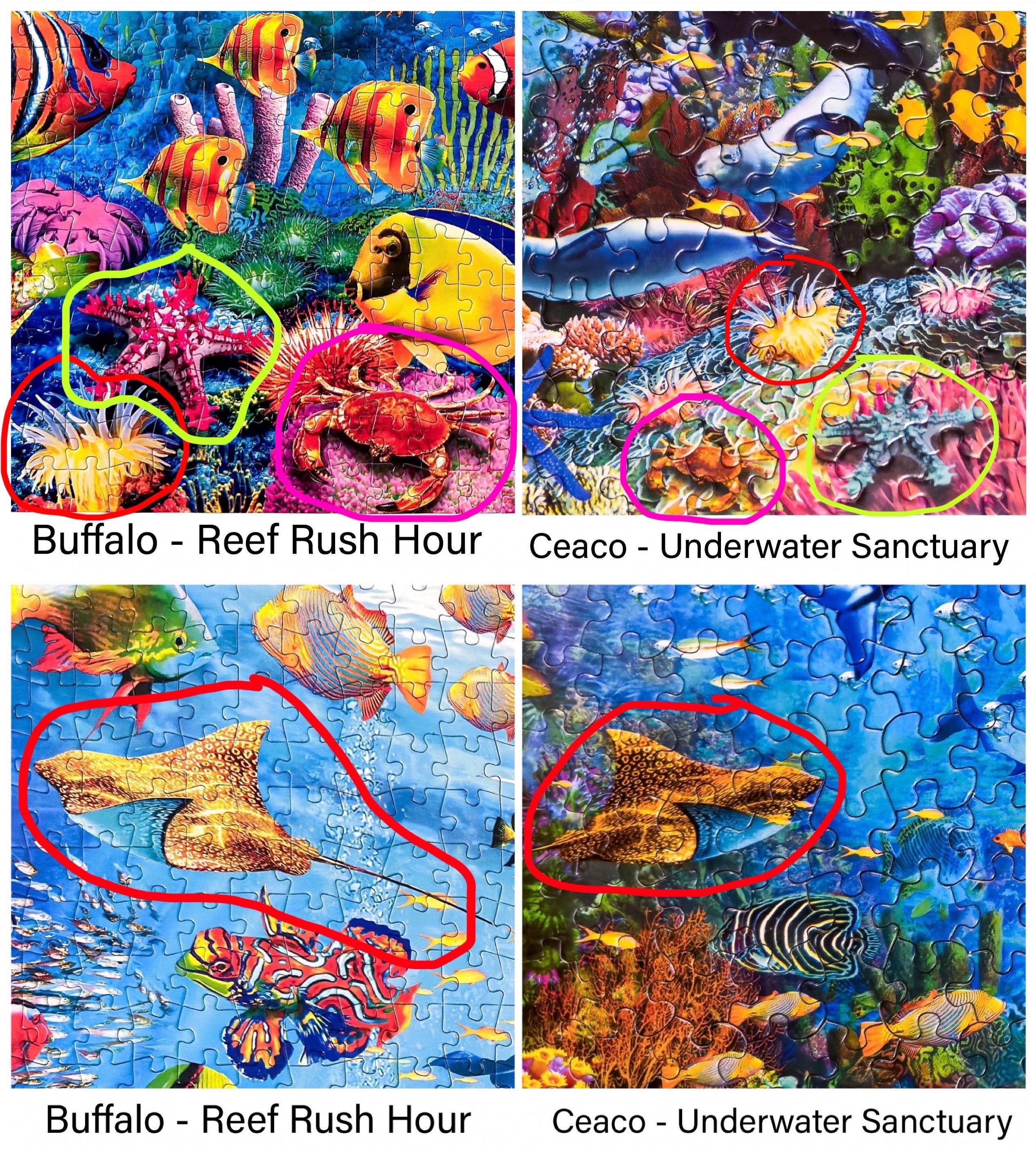 Buffalo - Marine Color: Reef Rush Hour, 1000 pieces. + Short review. | Scrolller