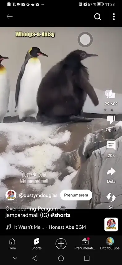 squidward Thorws Brian In The Trash | Scrolller