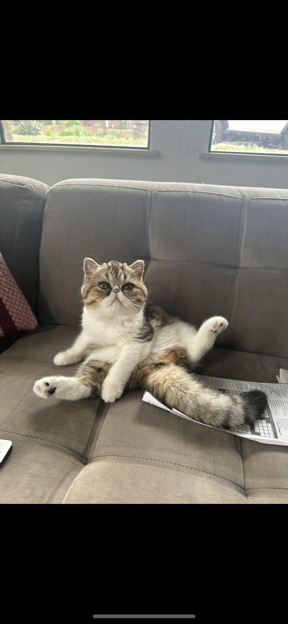 Squishy squish | Scrolller