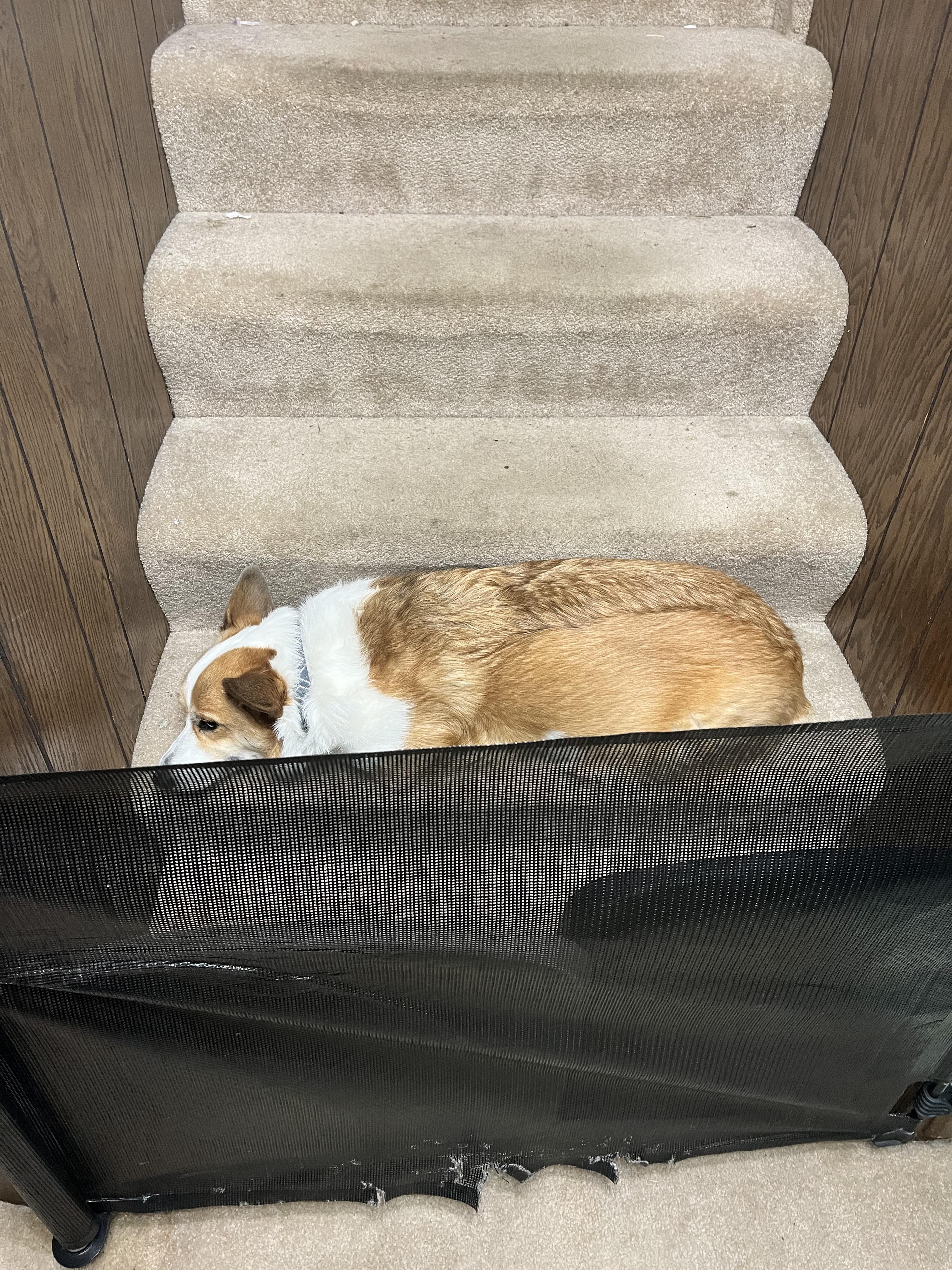 Stair loaf | Scrolller