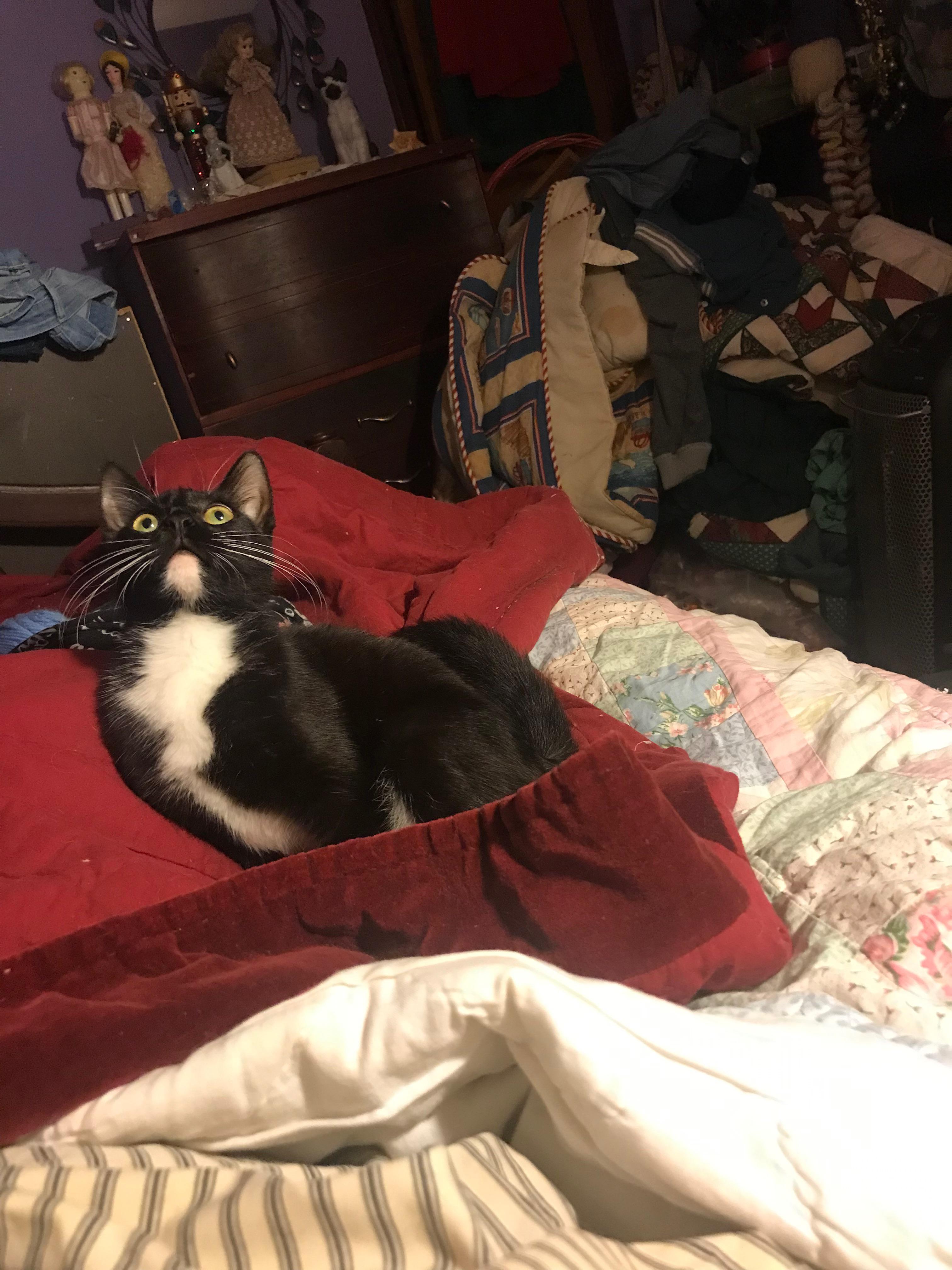 Staring into nothing | Scrolller