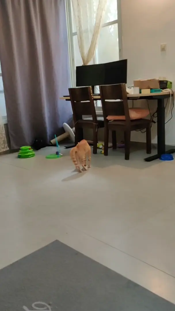 Startled Crab | Scrolller