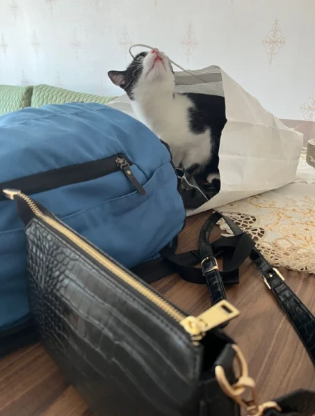 Stealth mode: activated | Scrolller