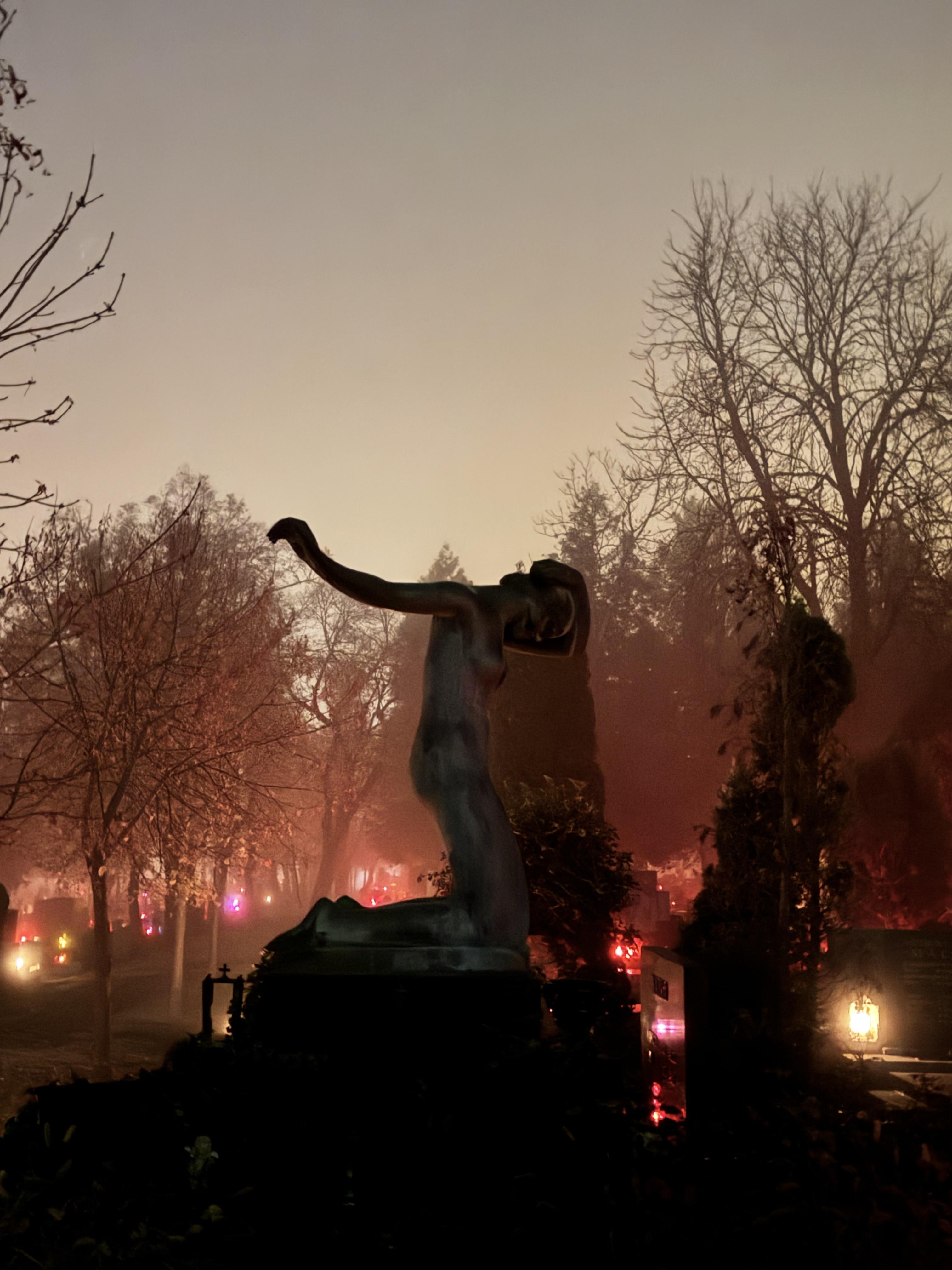 Still life | Scrolller