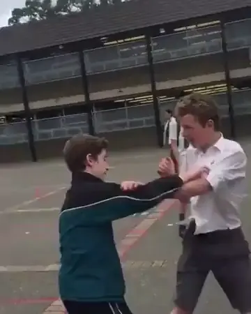 Stood his ground and choked out his bully | Scrolller