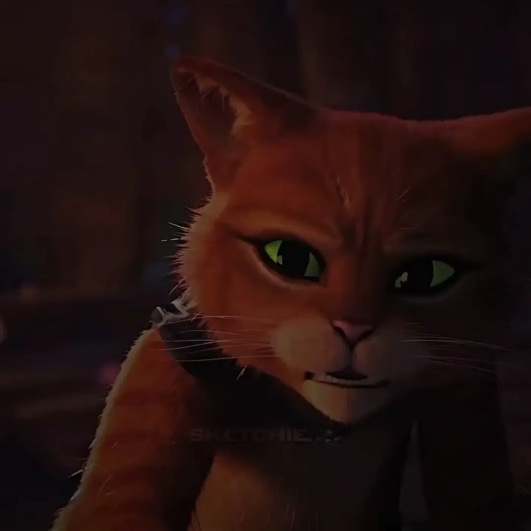 Straight up Brainrot! | Scrolller