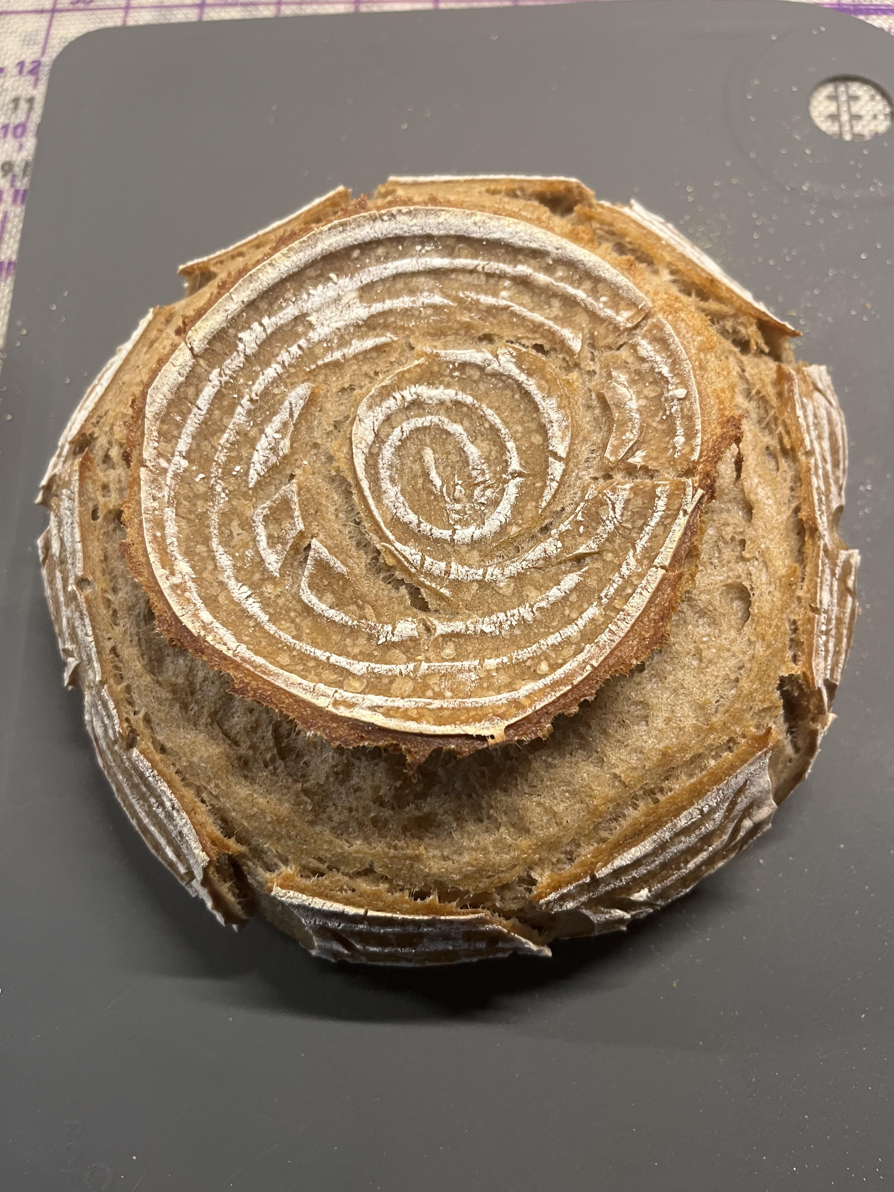 Discover more like Breadit: Cold proofed 😫 and Related Content | Scrolller