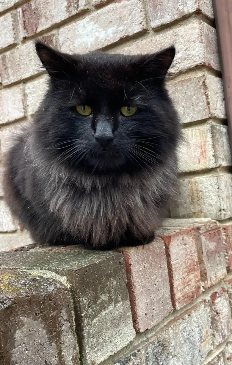 Such the beautiful loaf | Scrolller