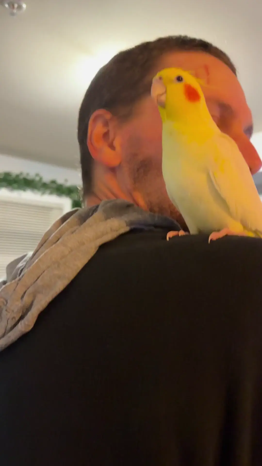 Sully has learned to whistle September from Groot! | Scrolller