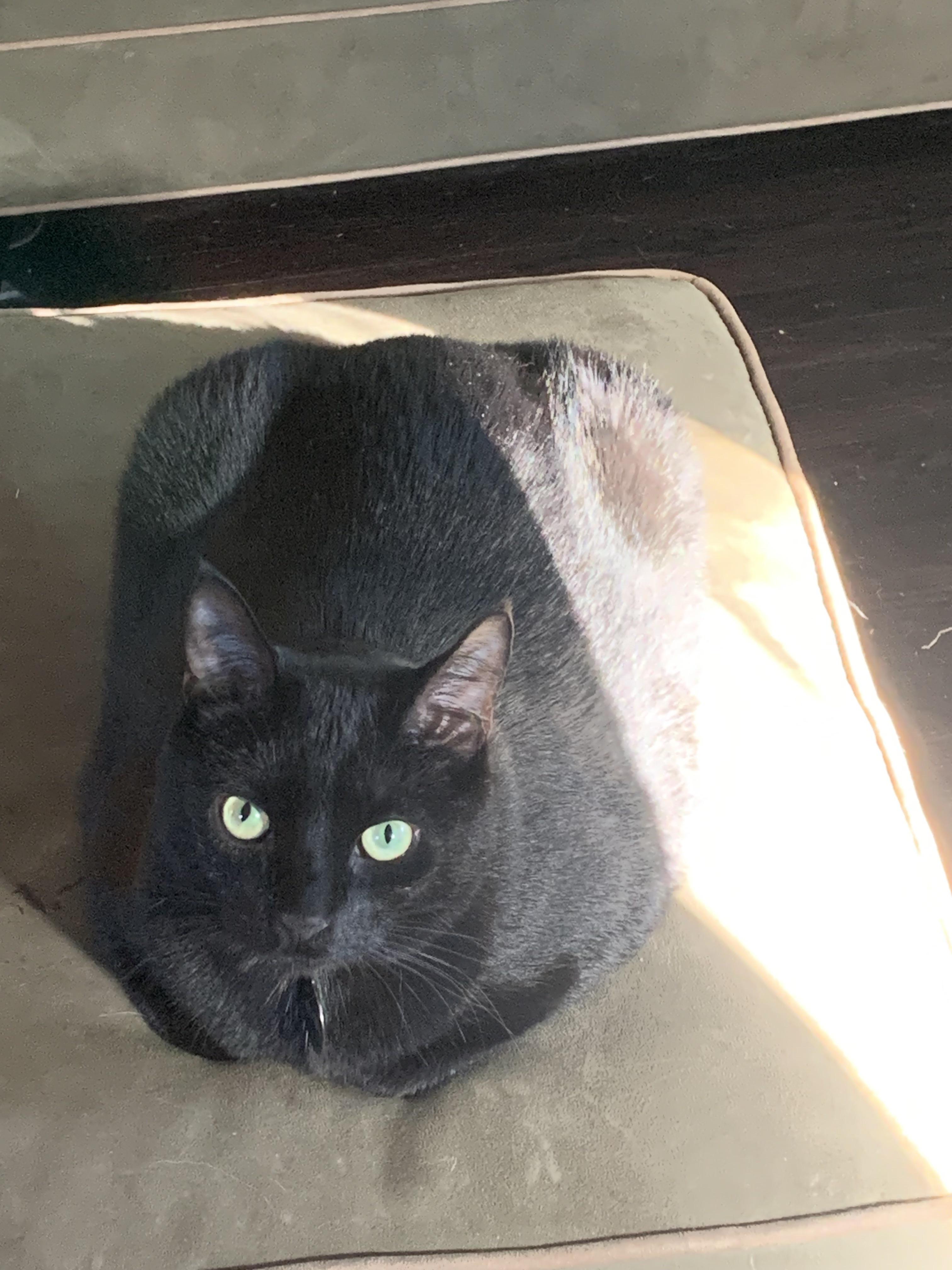 Sunbeam loaf | Scrolller