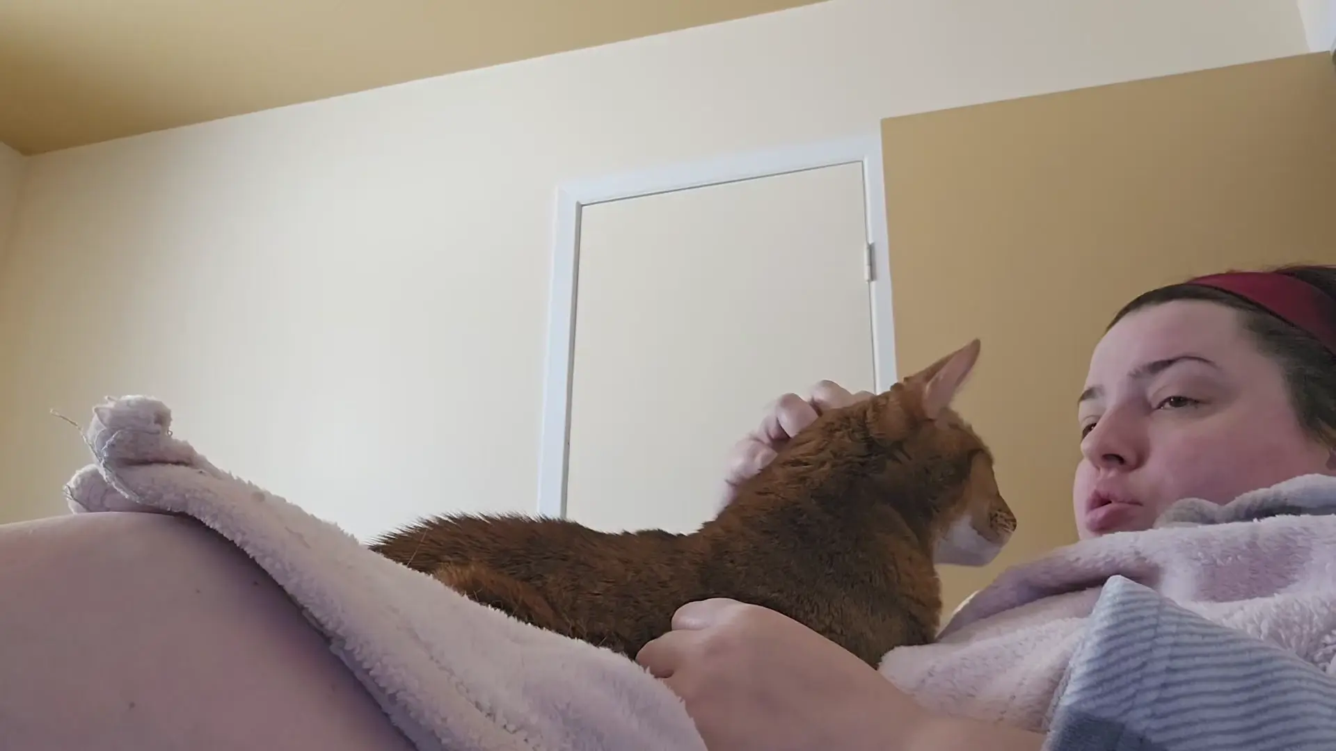 Sunday's brushing | Scrolller