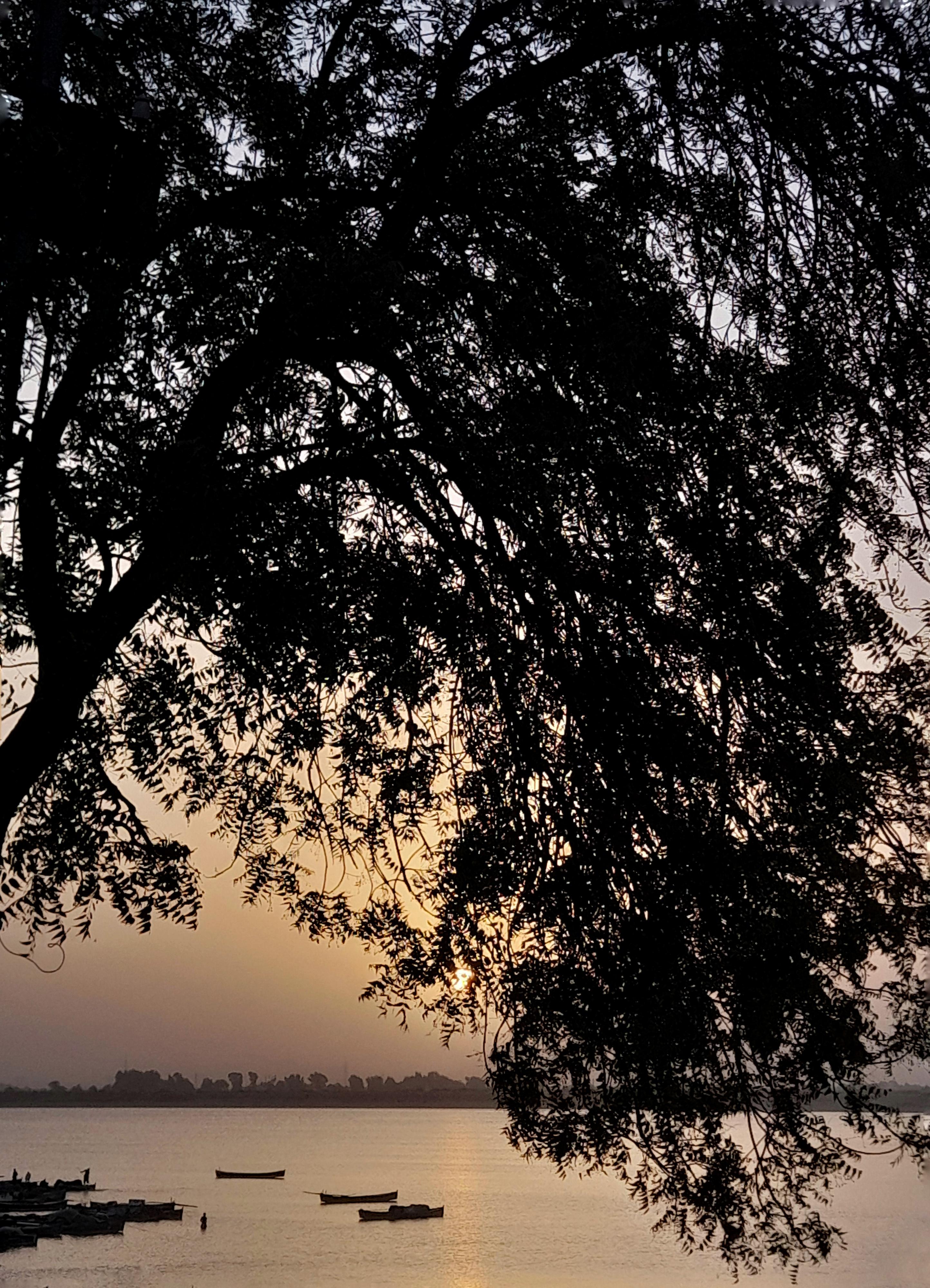 Sunrise at river | Scrolller