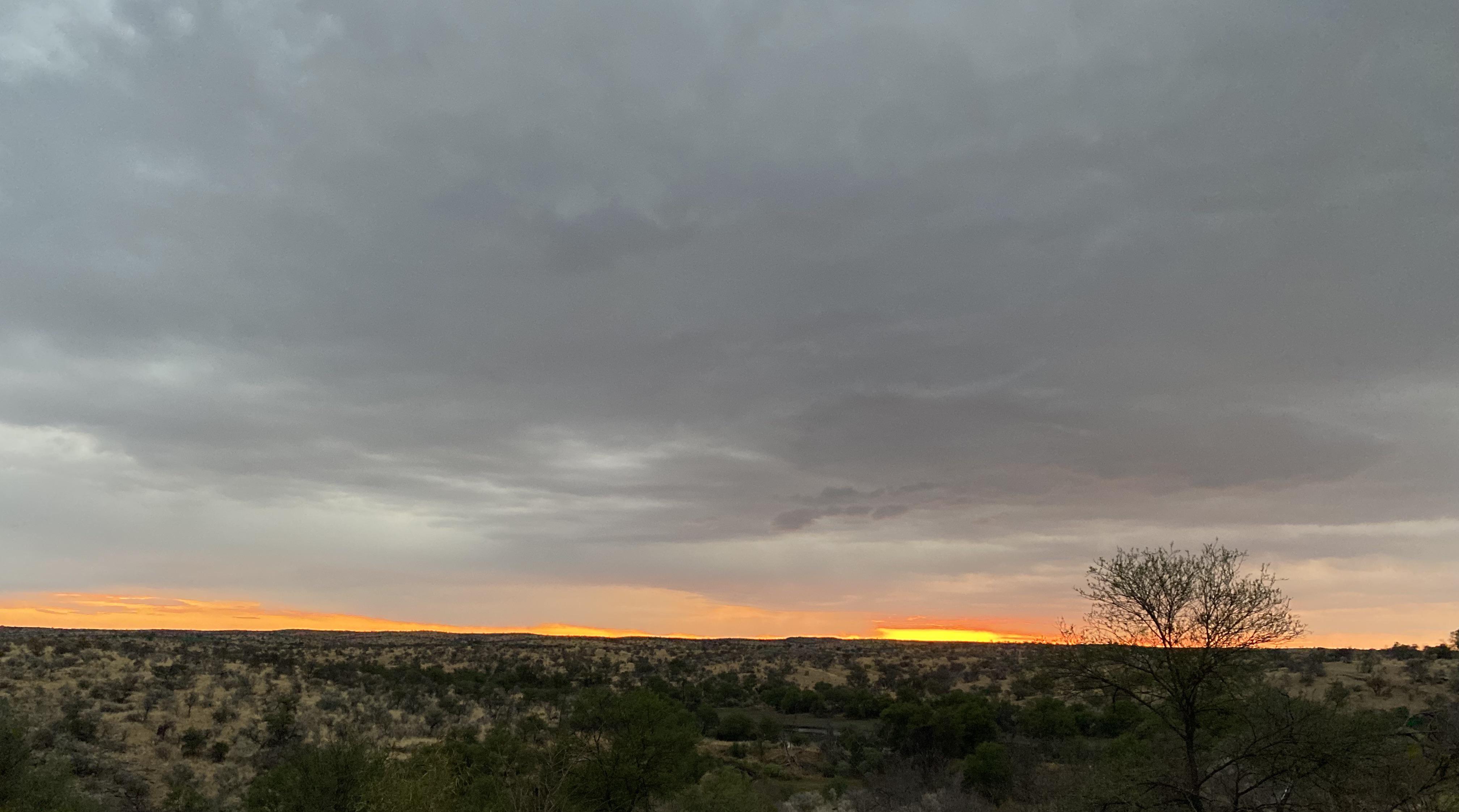 Discover more like Naturepics: Sunset - OC - Namibia and Related Content | Scrolller