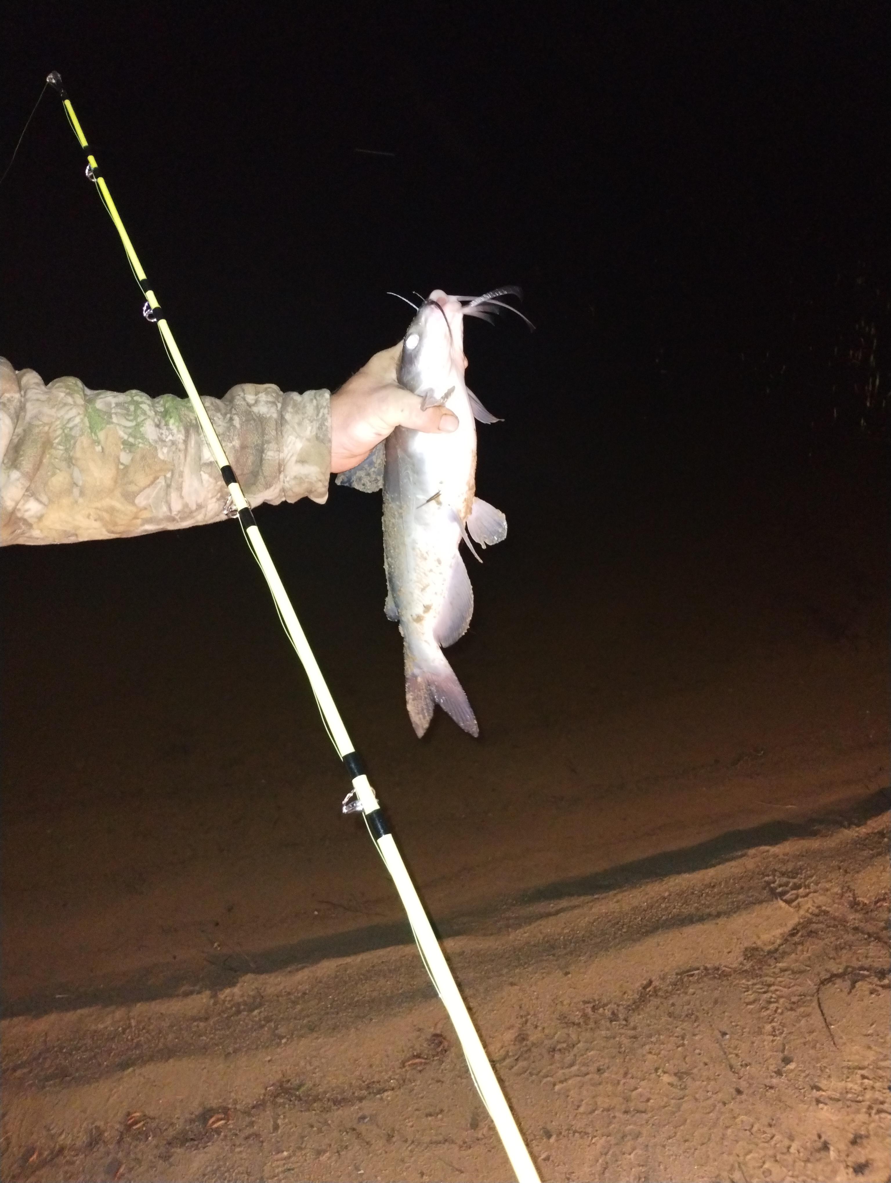 New pole | Scrolller