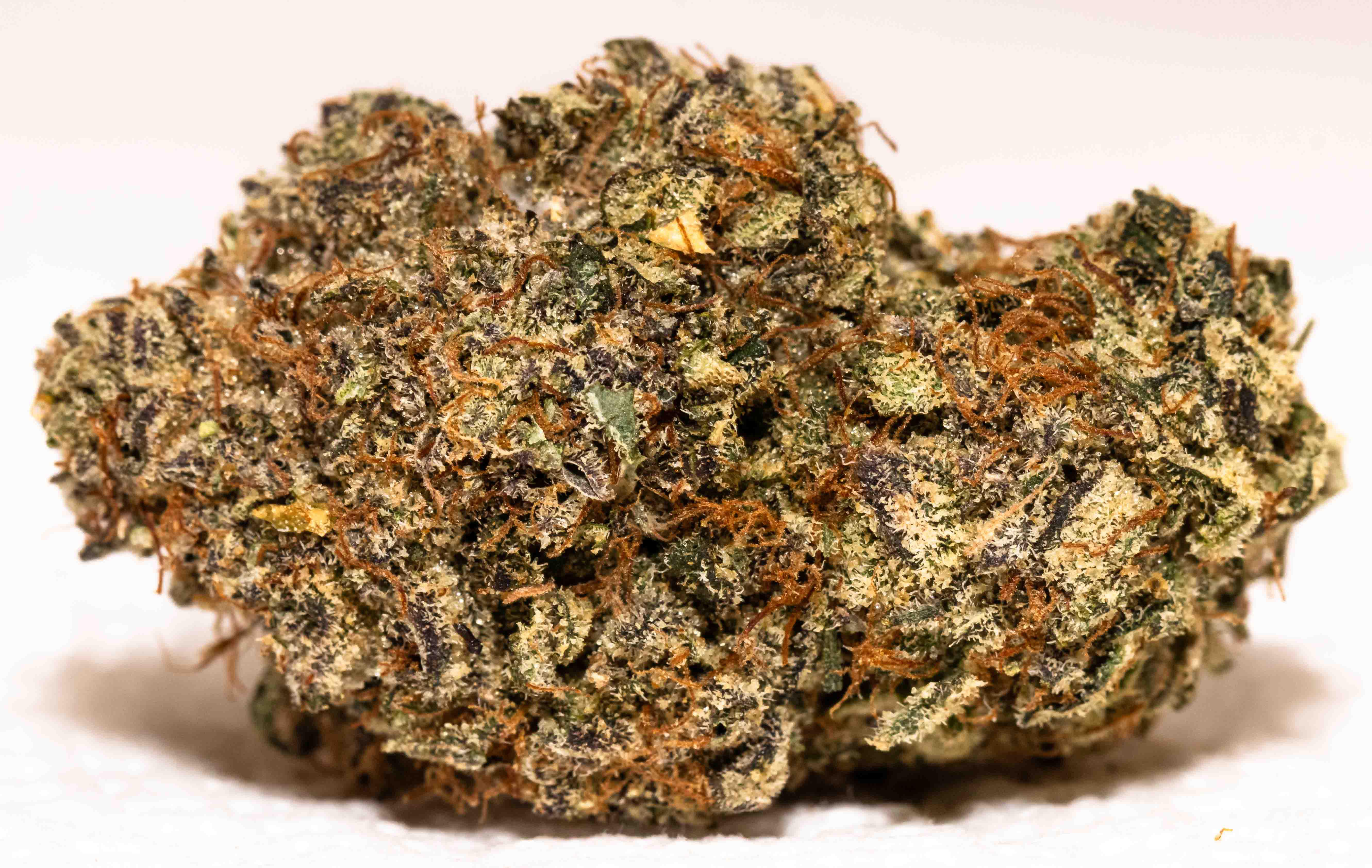 Super Boof from Prohibition Farms - Review | Scrolller