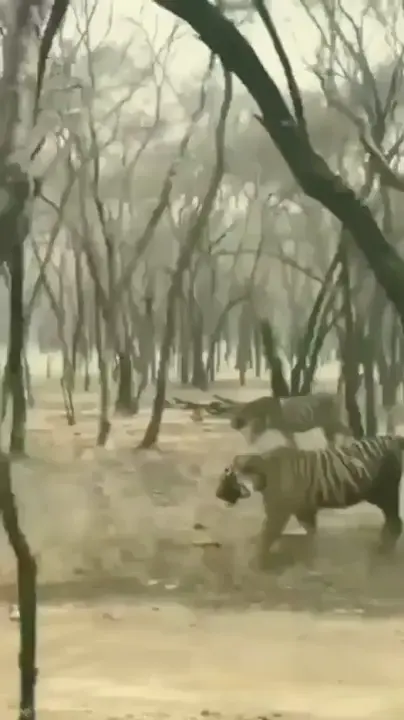 Super power fight | Scrolller