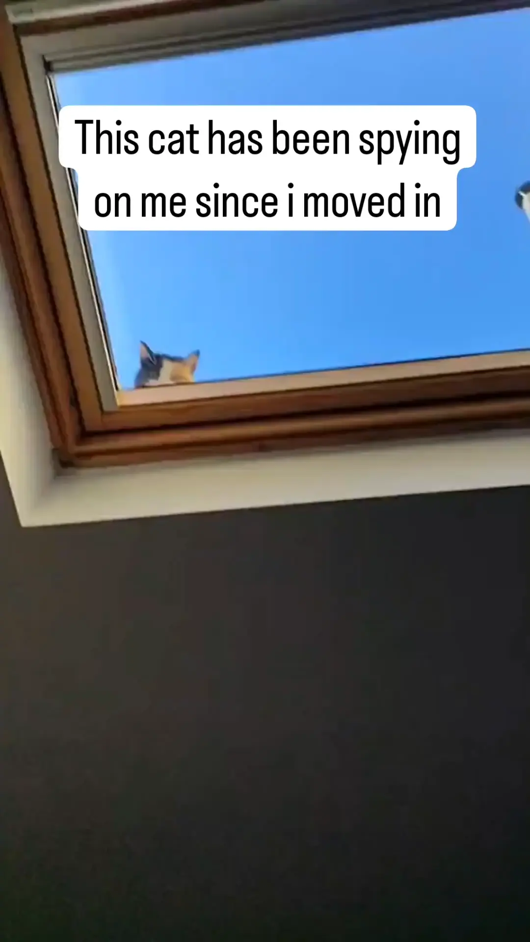 Surveillance camera | Scrolller