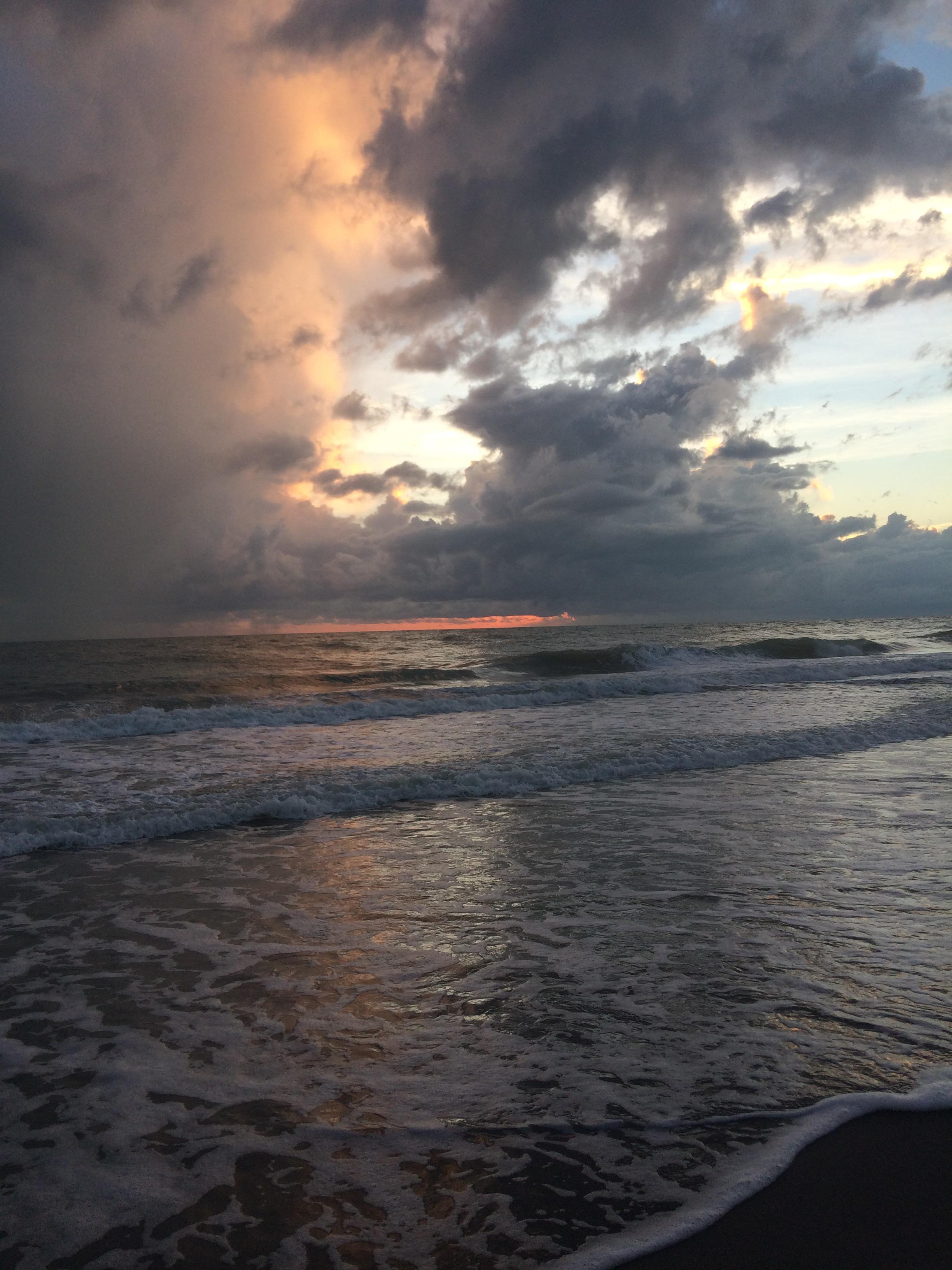 SW Florida | Scrolller