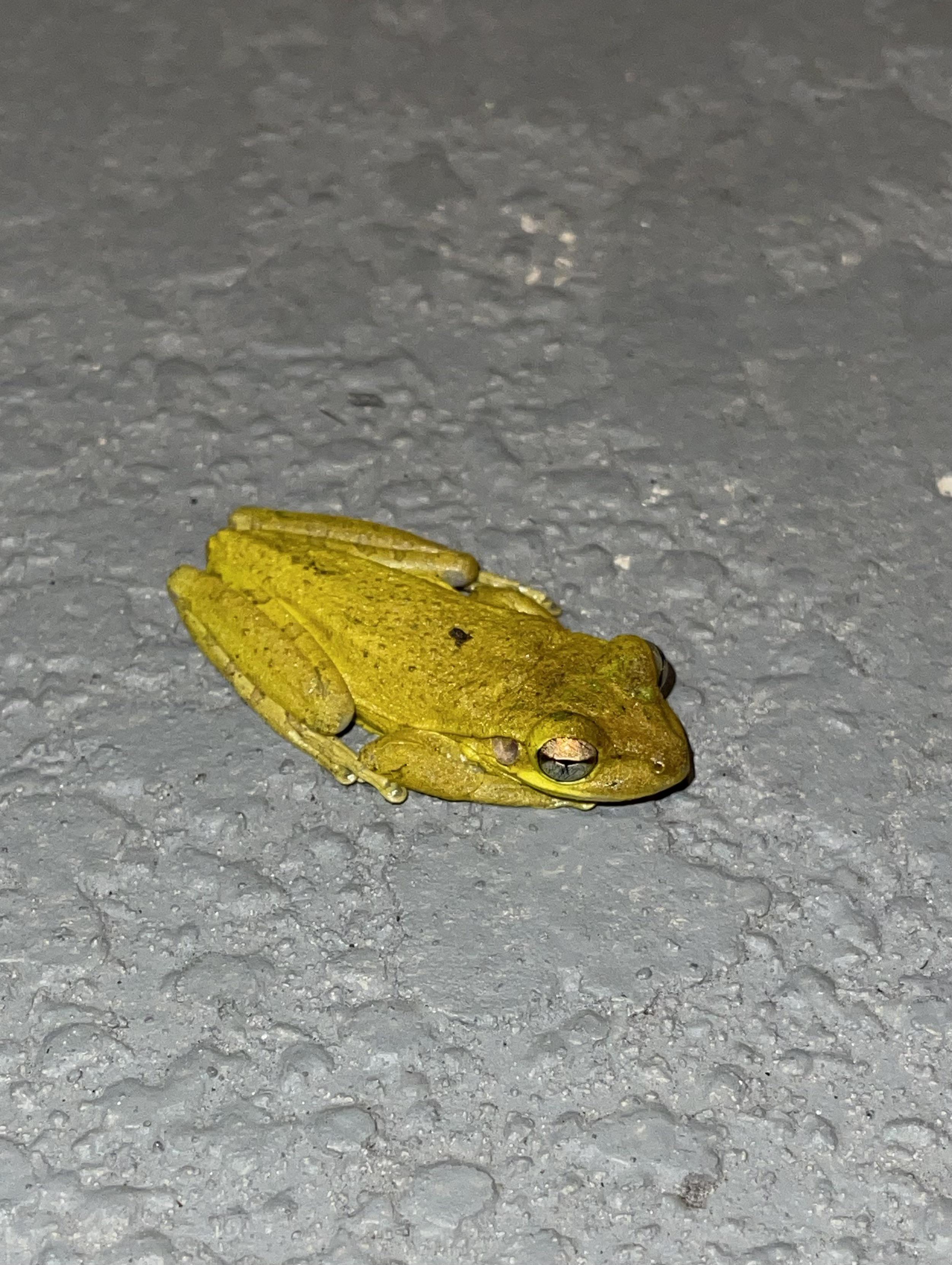 SW Florida | Scrolller