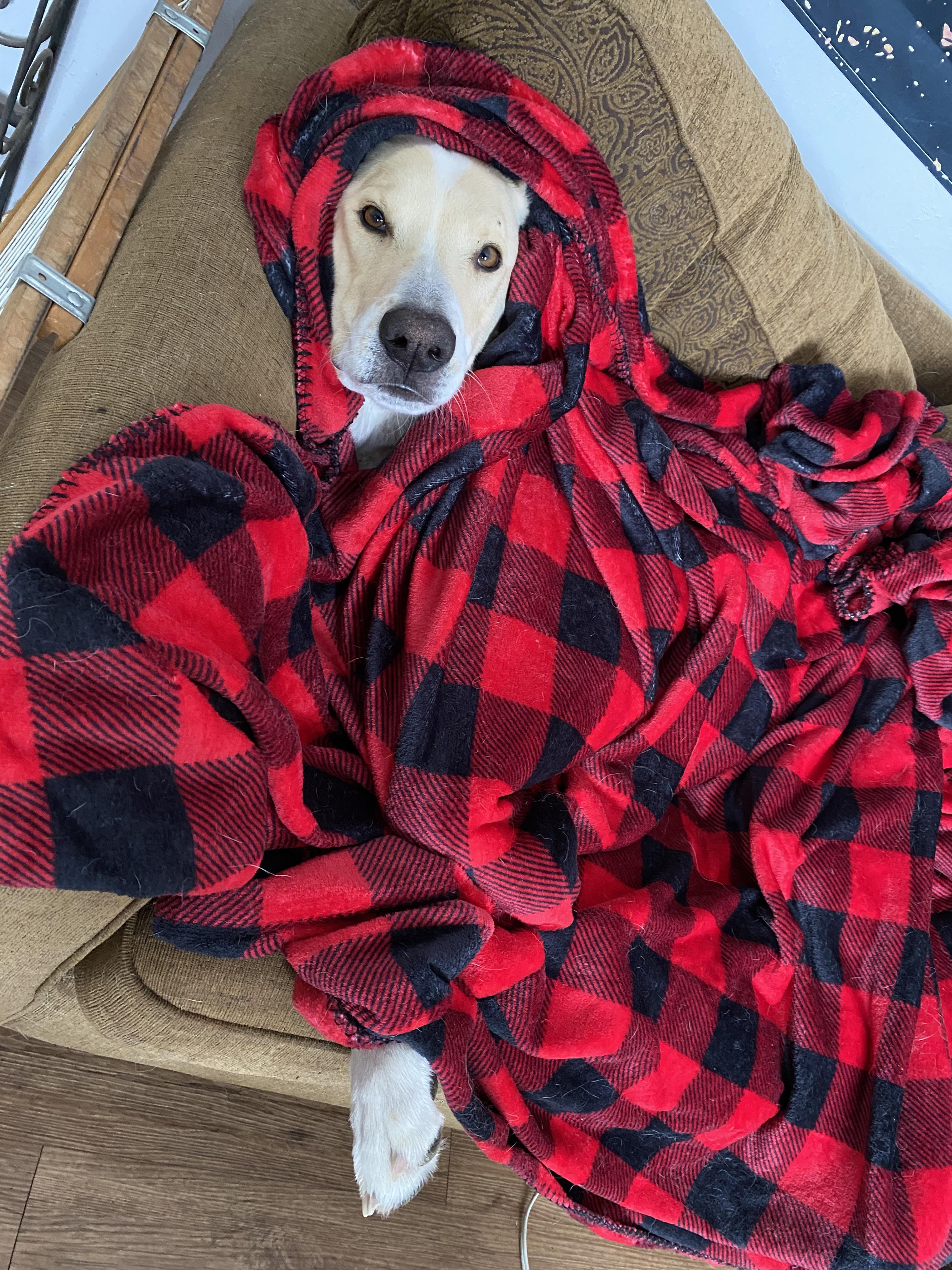 Sweet old man Mo | Scrolller