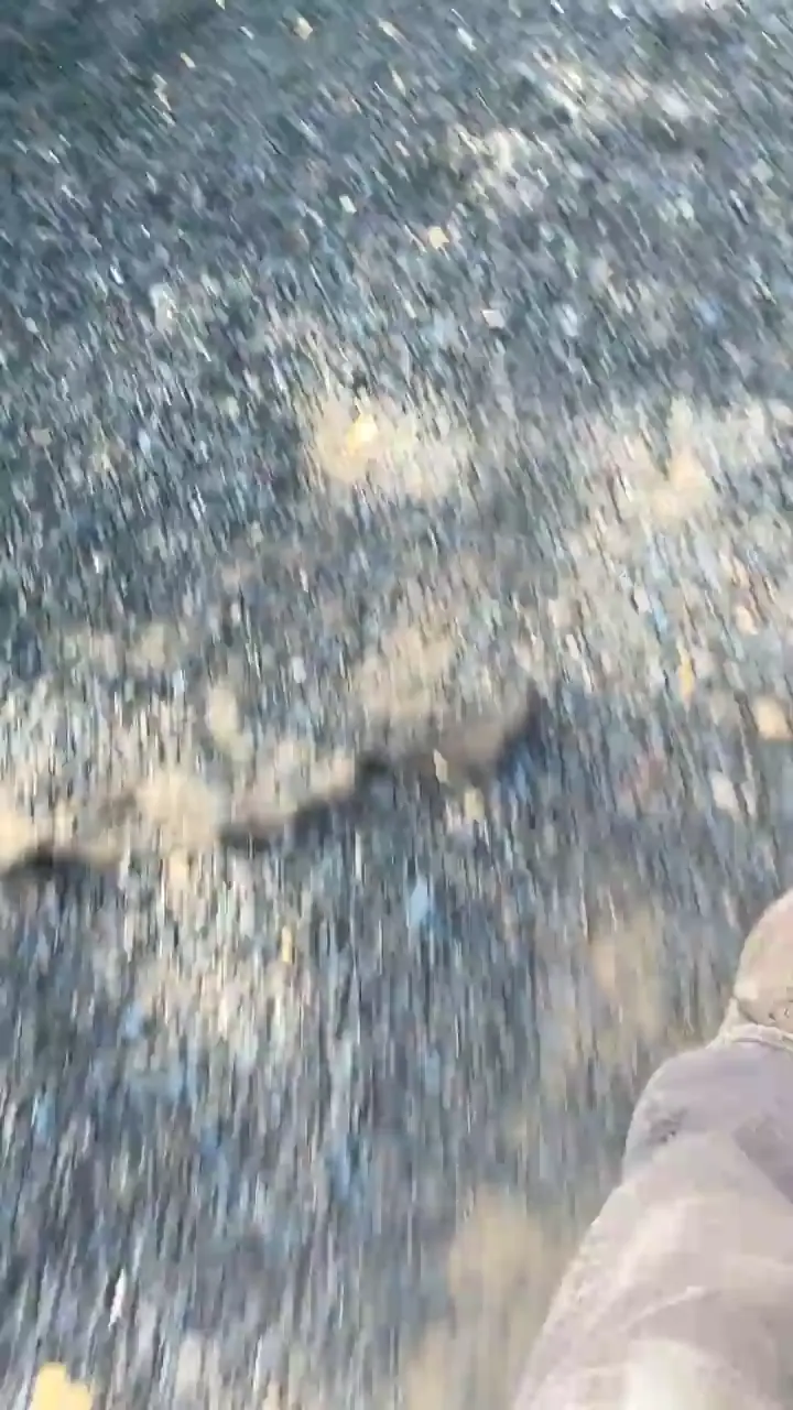 Swinging fun | Scrolller