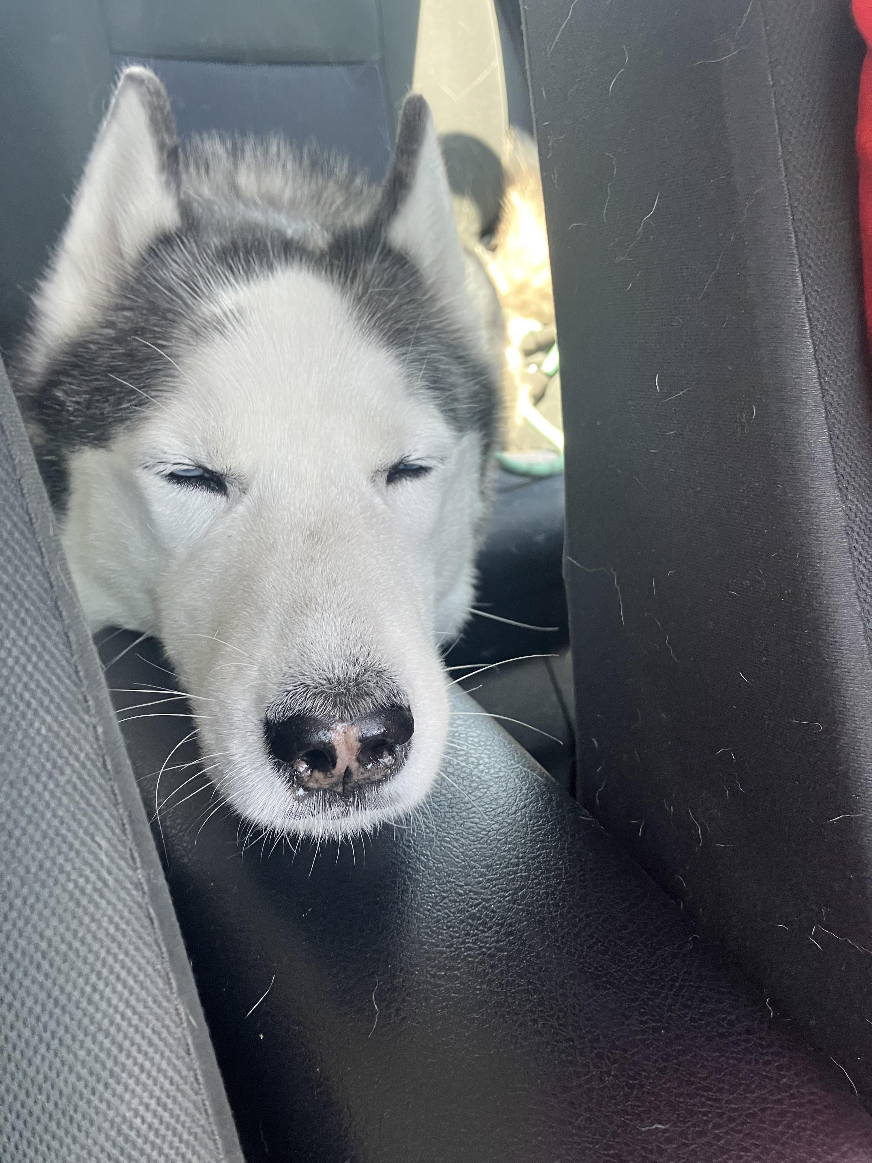 Before and after adventure | Scrolller