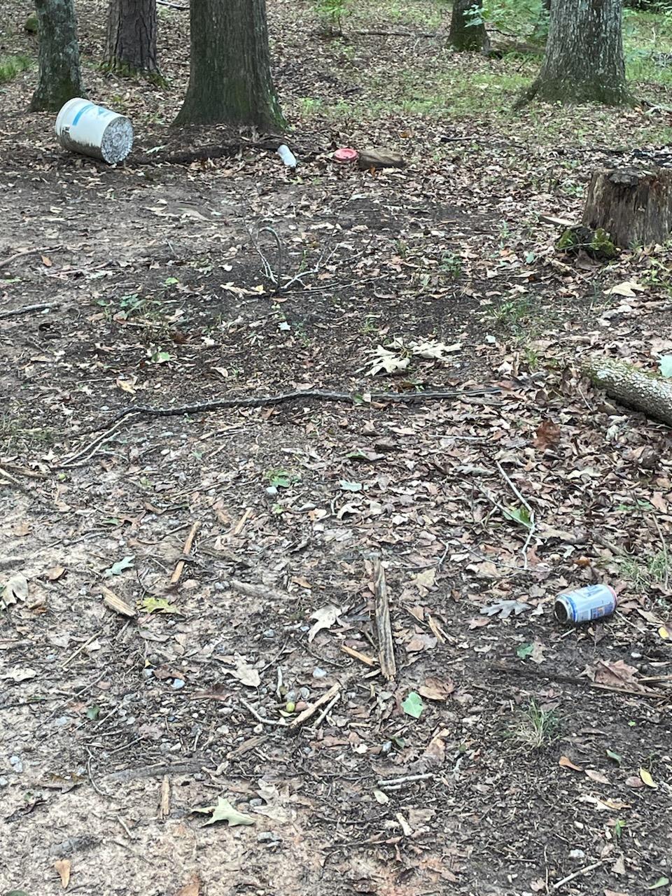 Rat snake? | Scrolller