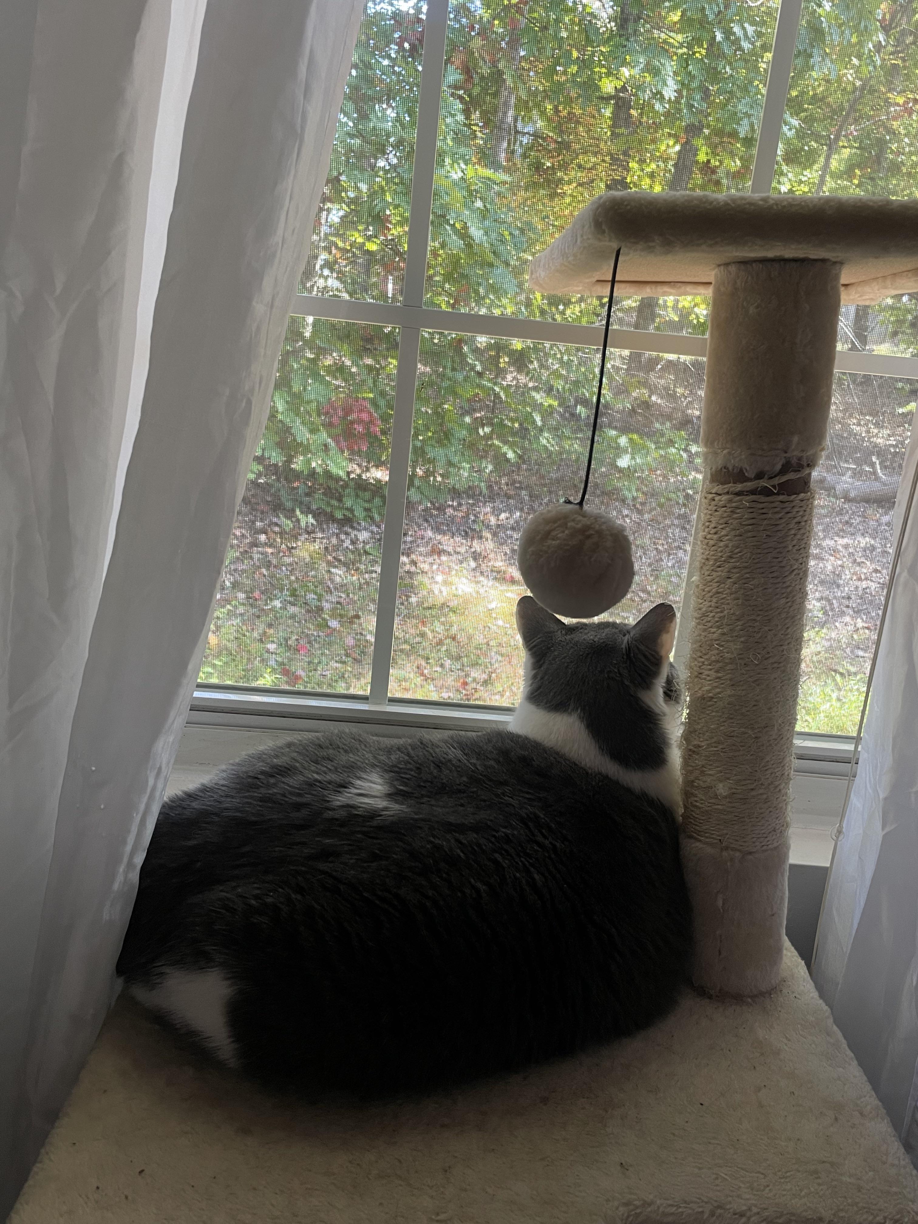 Watching the leaves fall | Scrolller