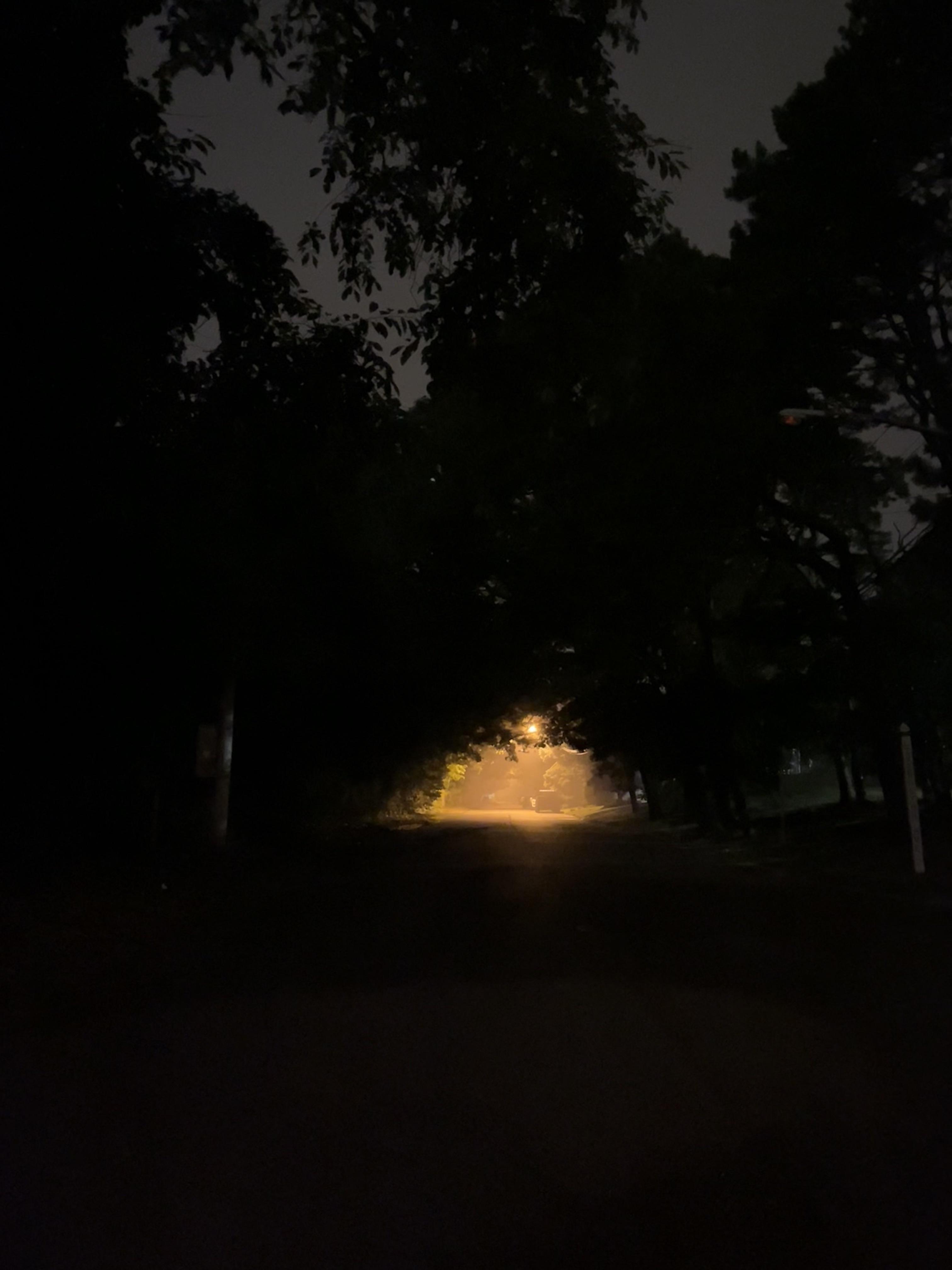 Peaceful evening by the train tracks | Scrolller