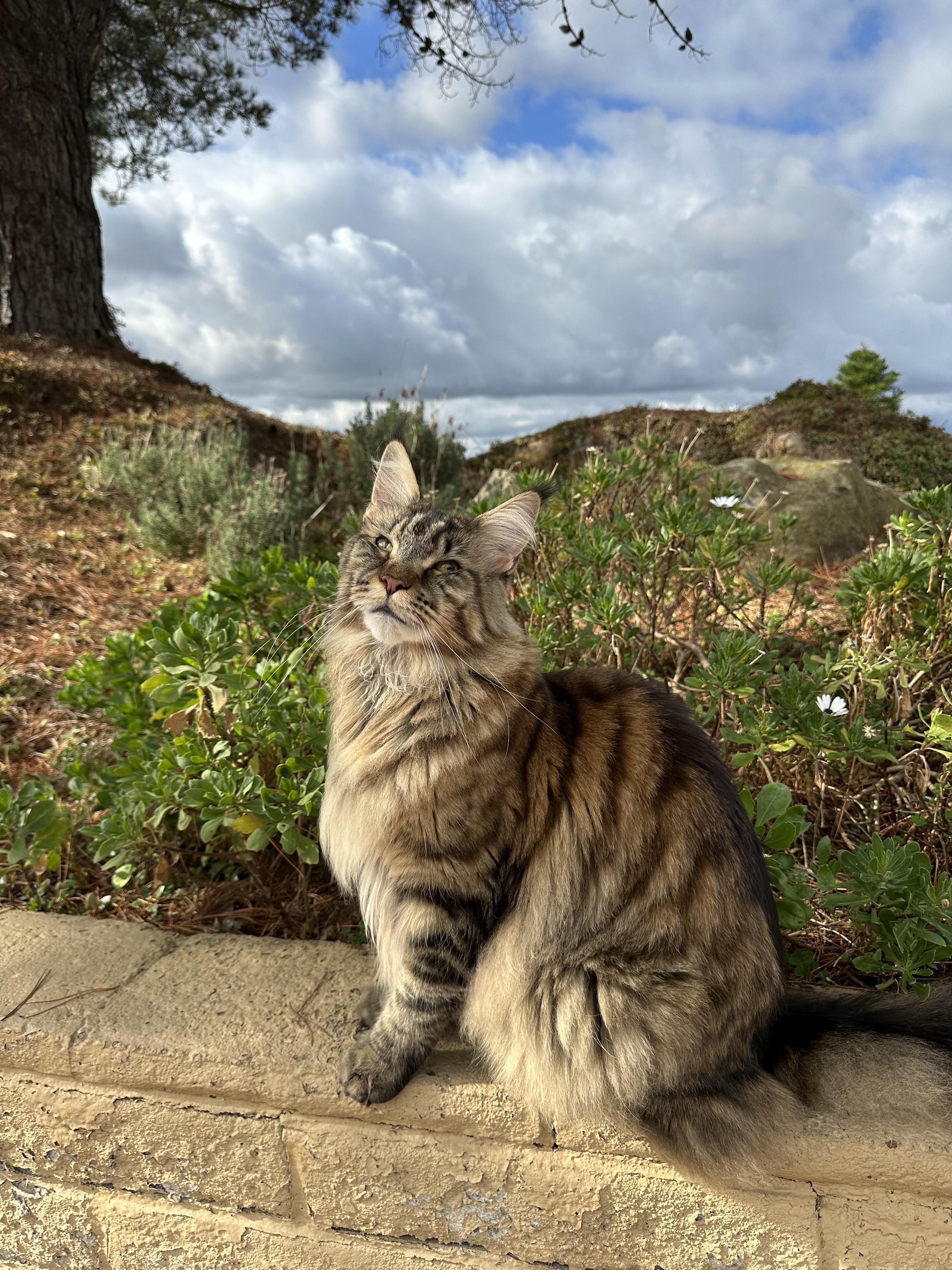 Back in Cali with Cleo | Scrolller