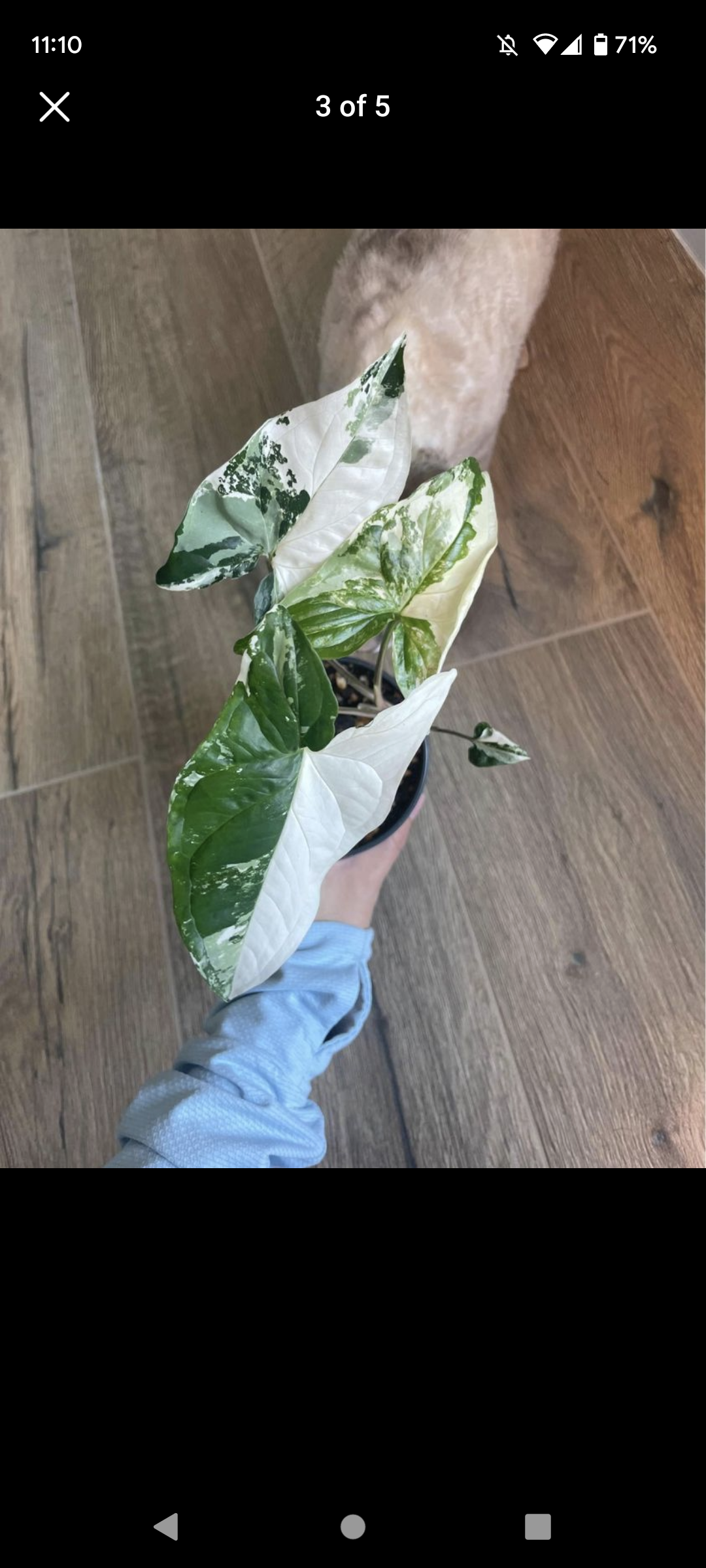 Worth the price | Scrolller