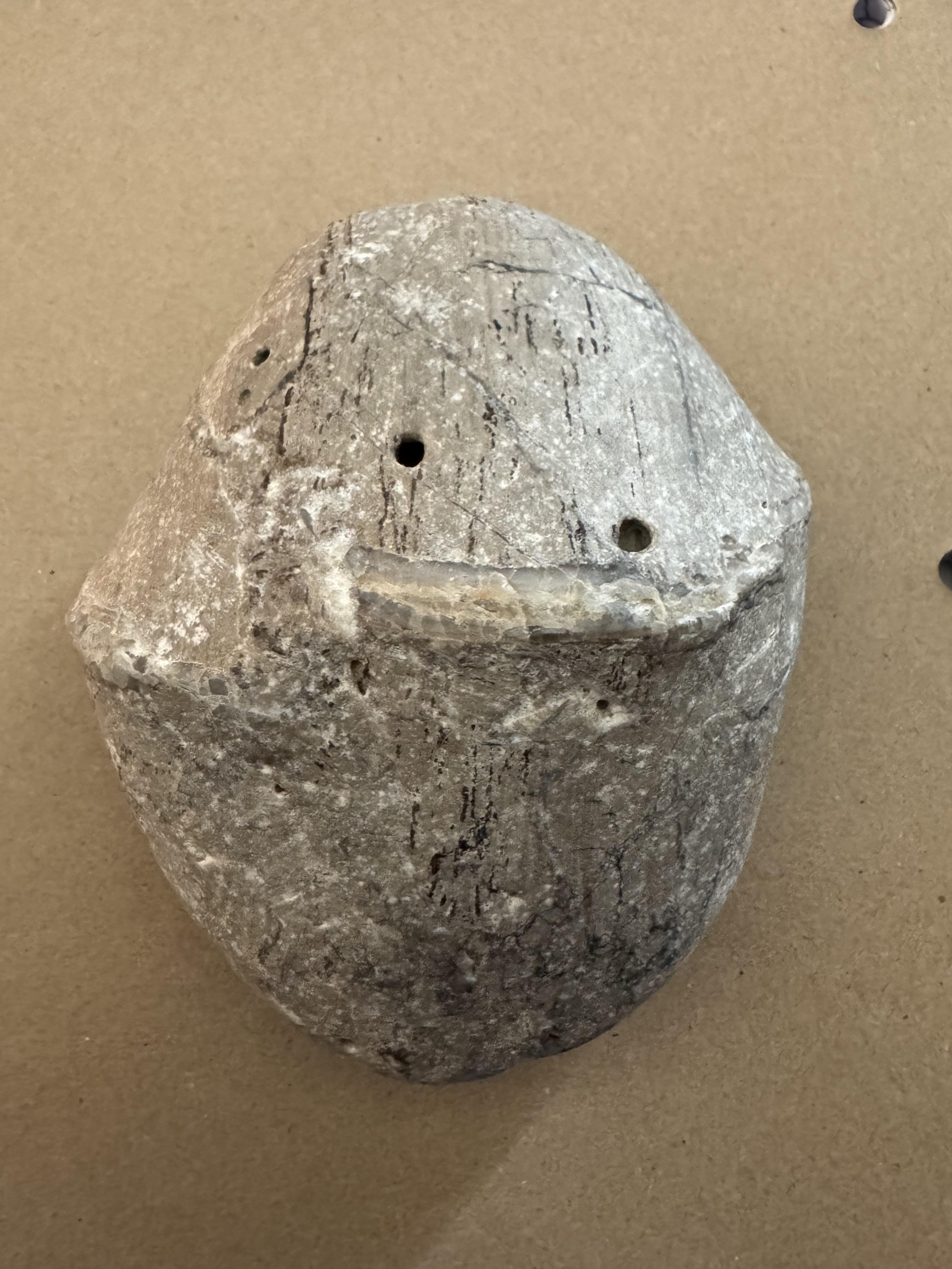 What is in this rock? | Scrolller