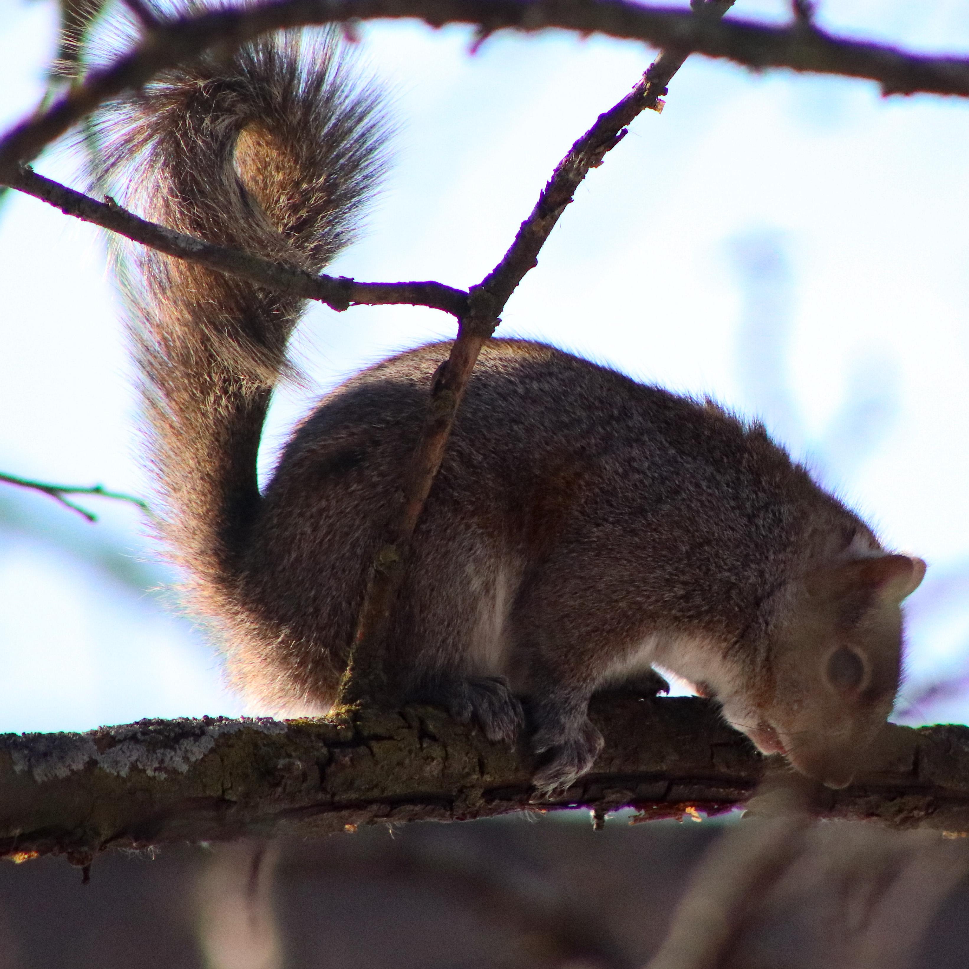 George Tries Exotic Foods | Scrolller
