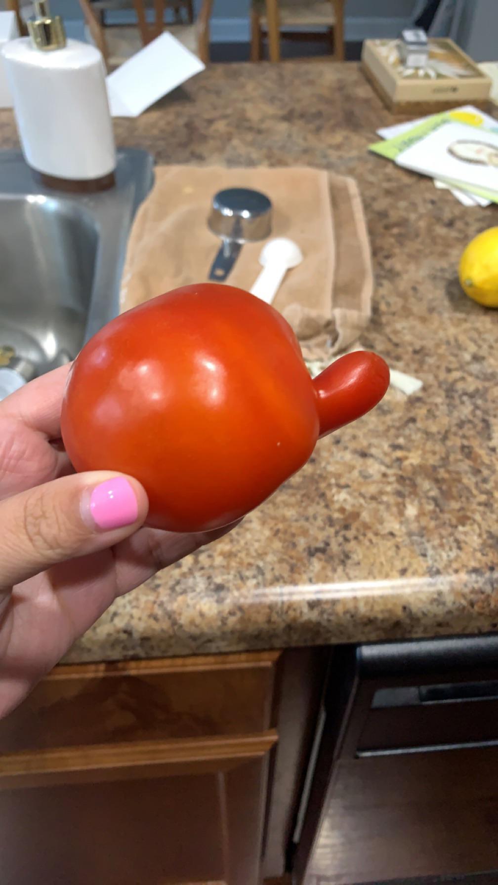 What's up with my tomato? | Scrolller
