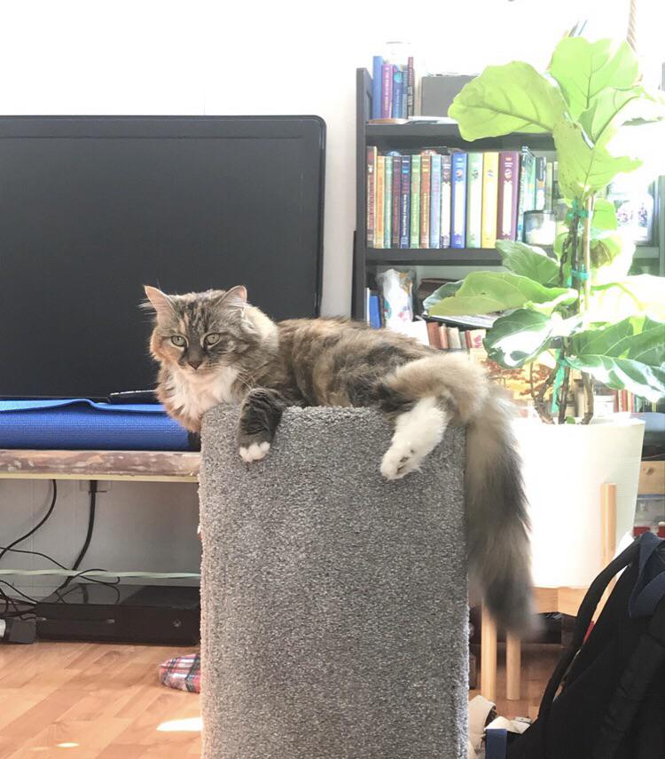 Big girl sasha!! | Scrolller