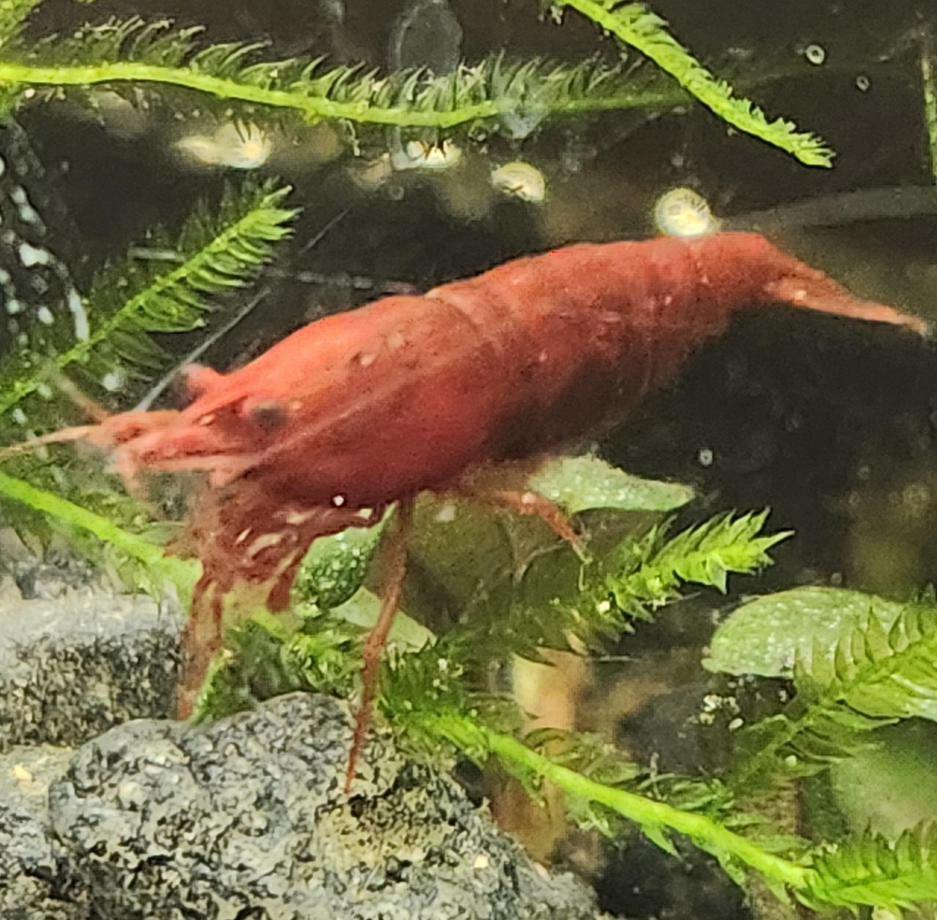 Is this normal? | Scrolller