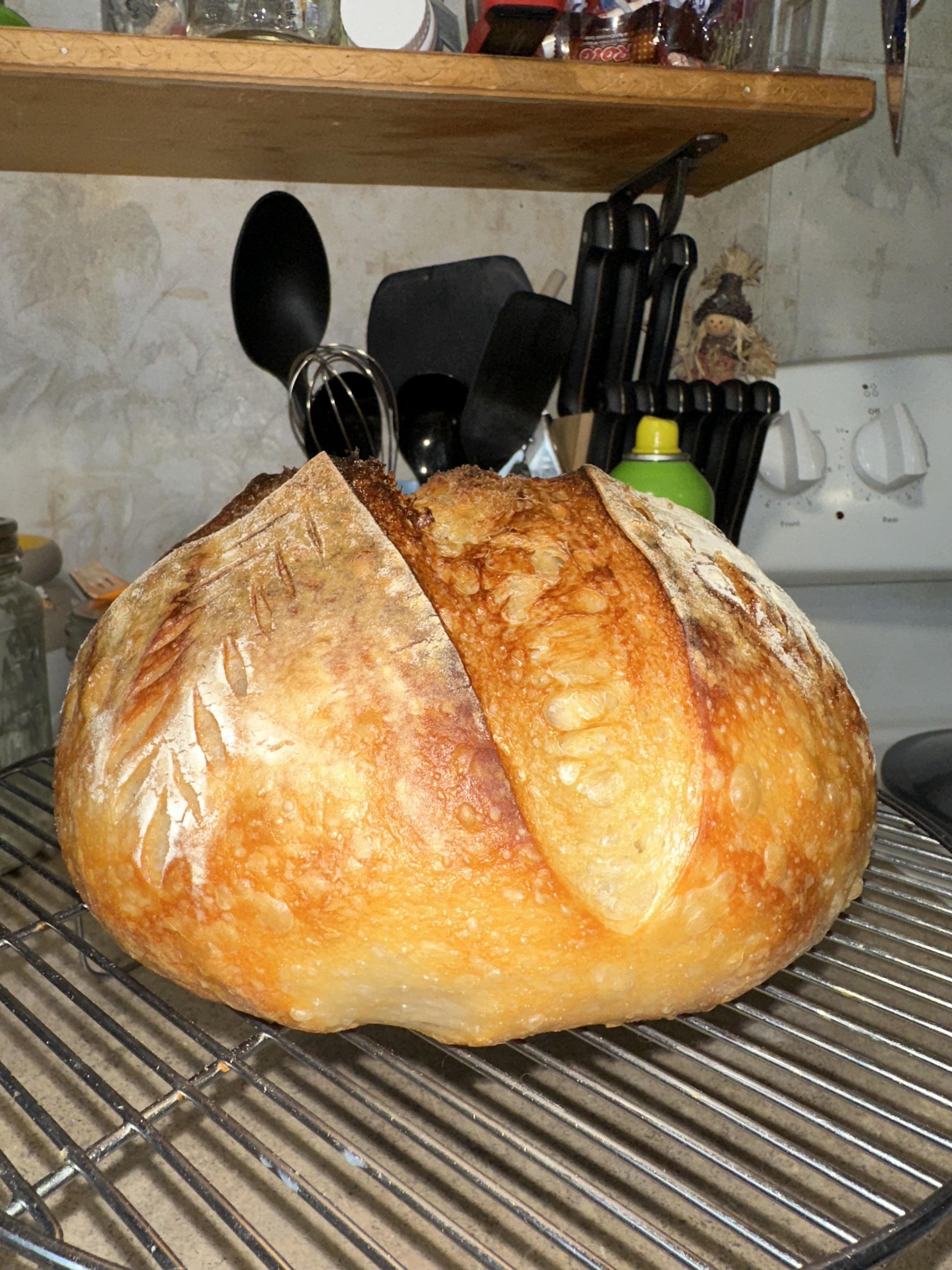 Sharing my success! | Scrolller