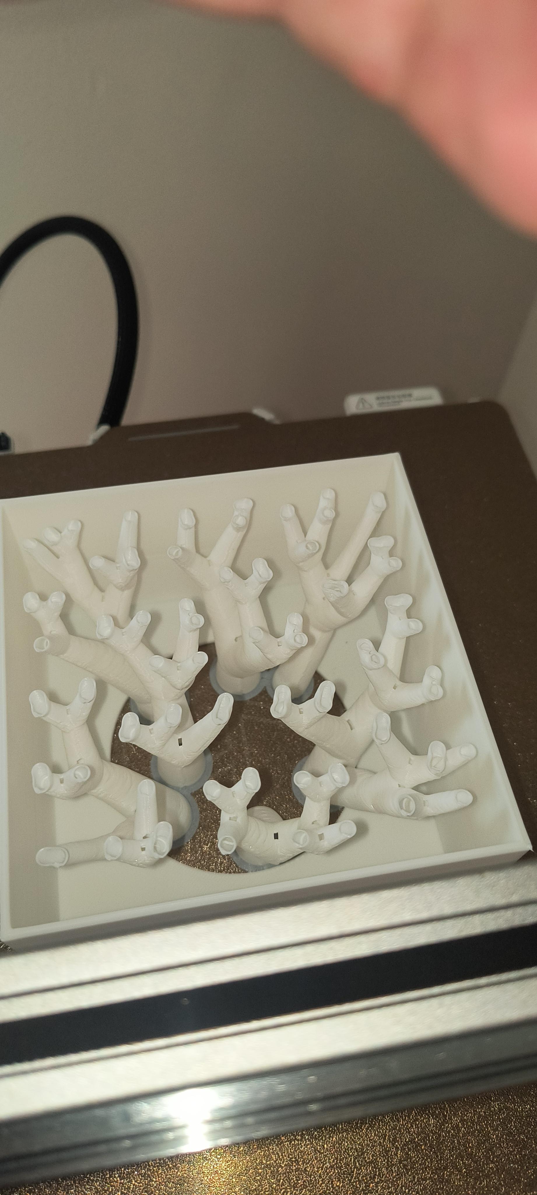 Anyone know what caused this? (A1) | Scrolller