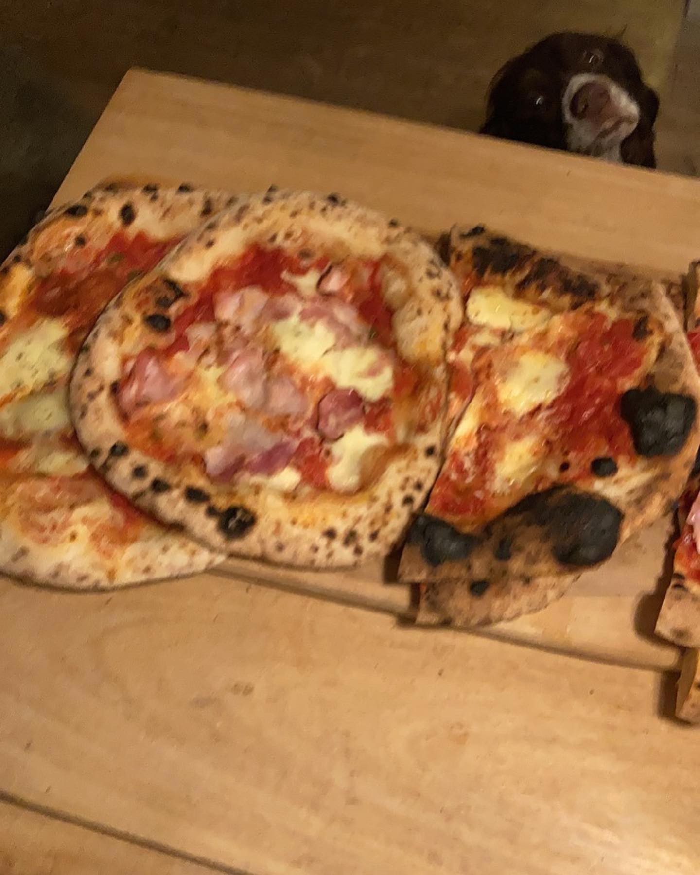[Homemade] Pizza Neapolitan style | Scrolller
