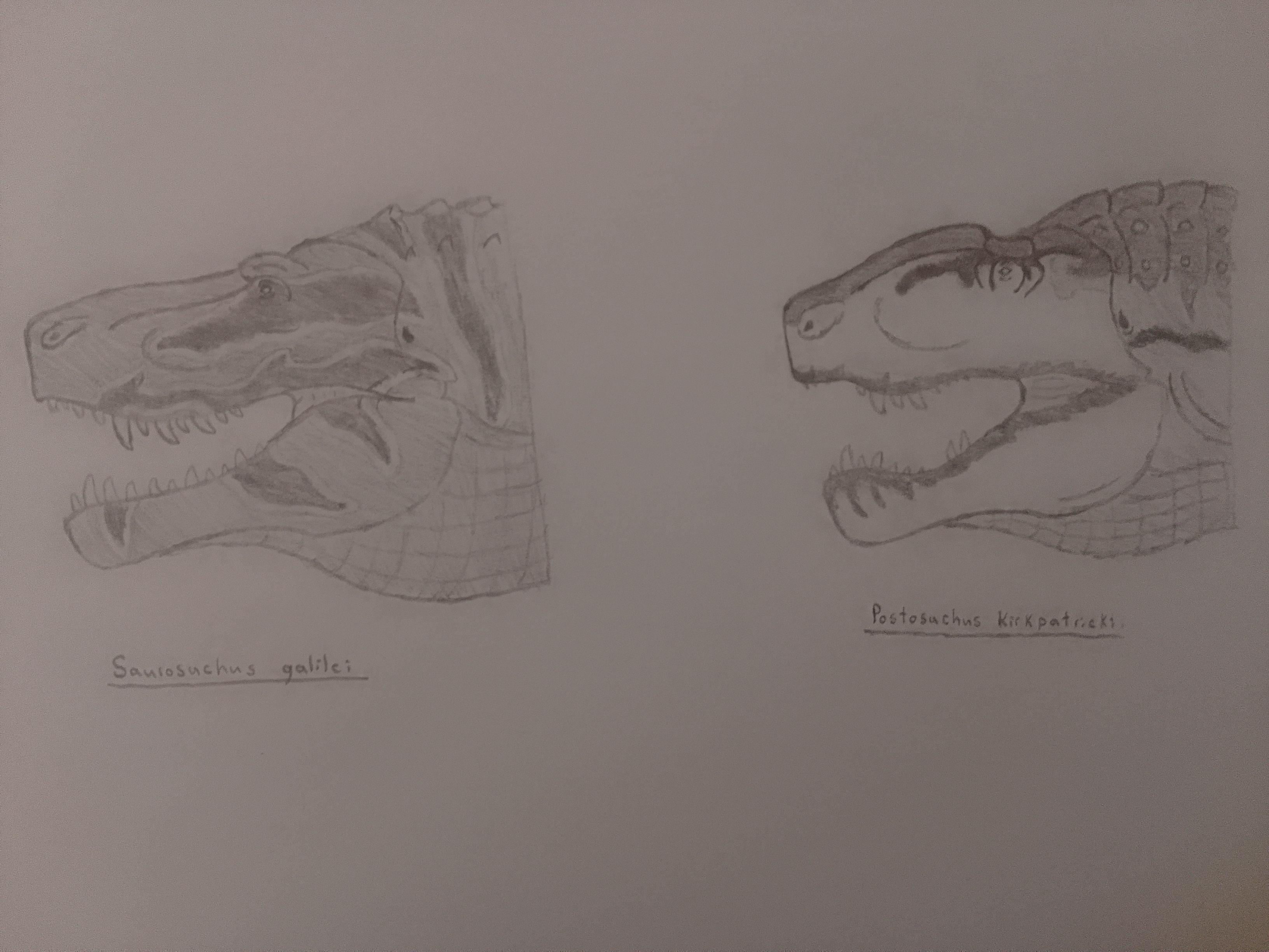 I drew the heads of prehistoric animals... | Scrolller