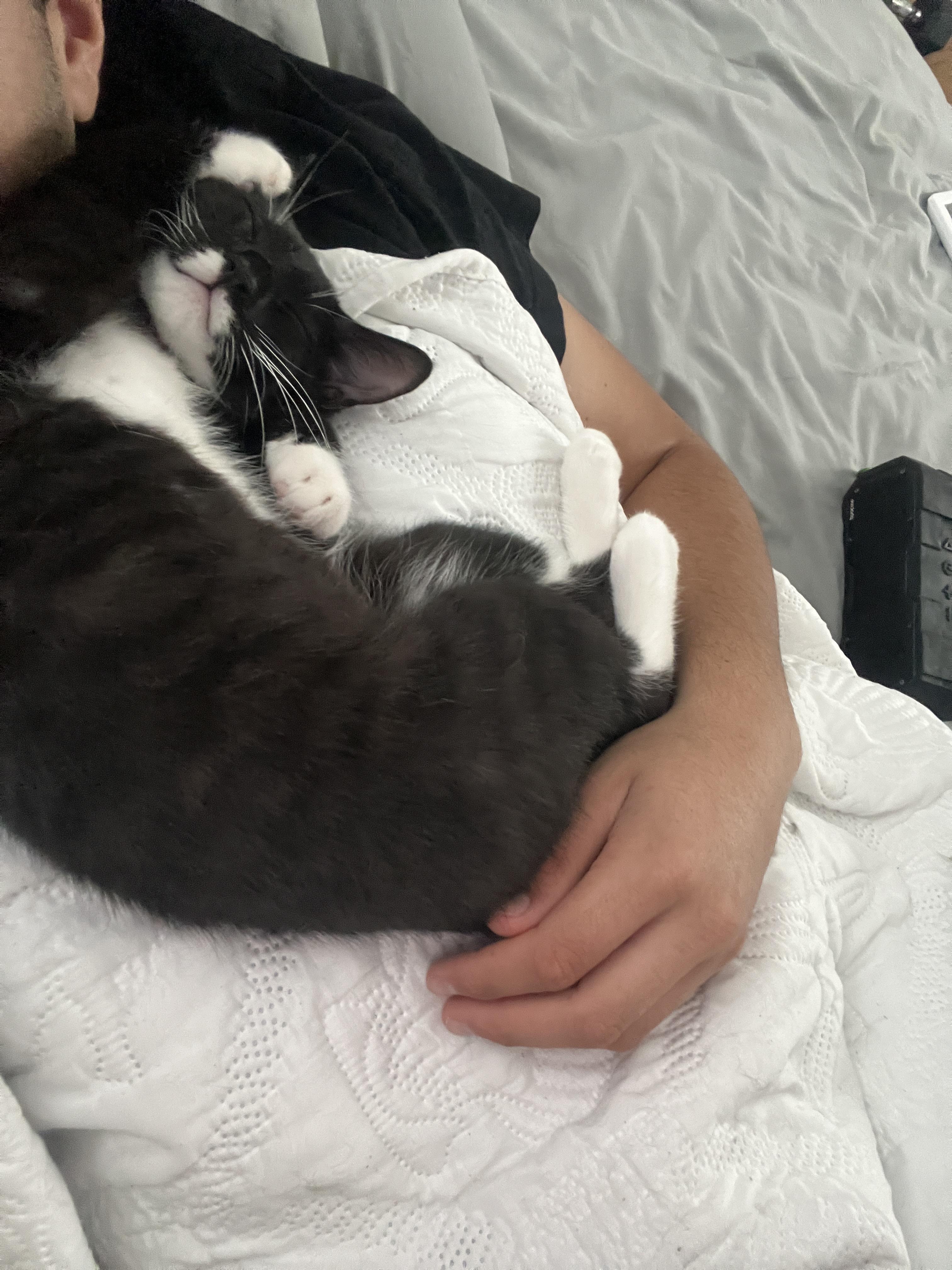 My miso🍲 | Scrolller