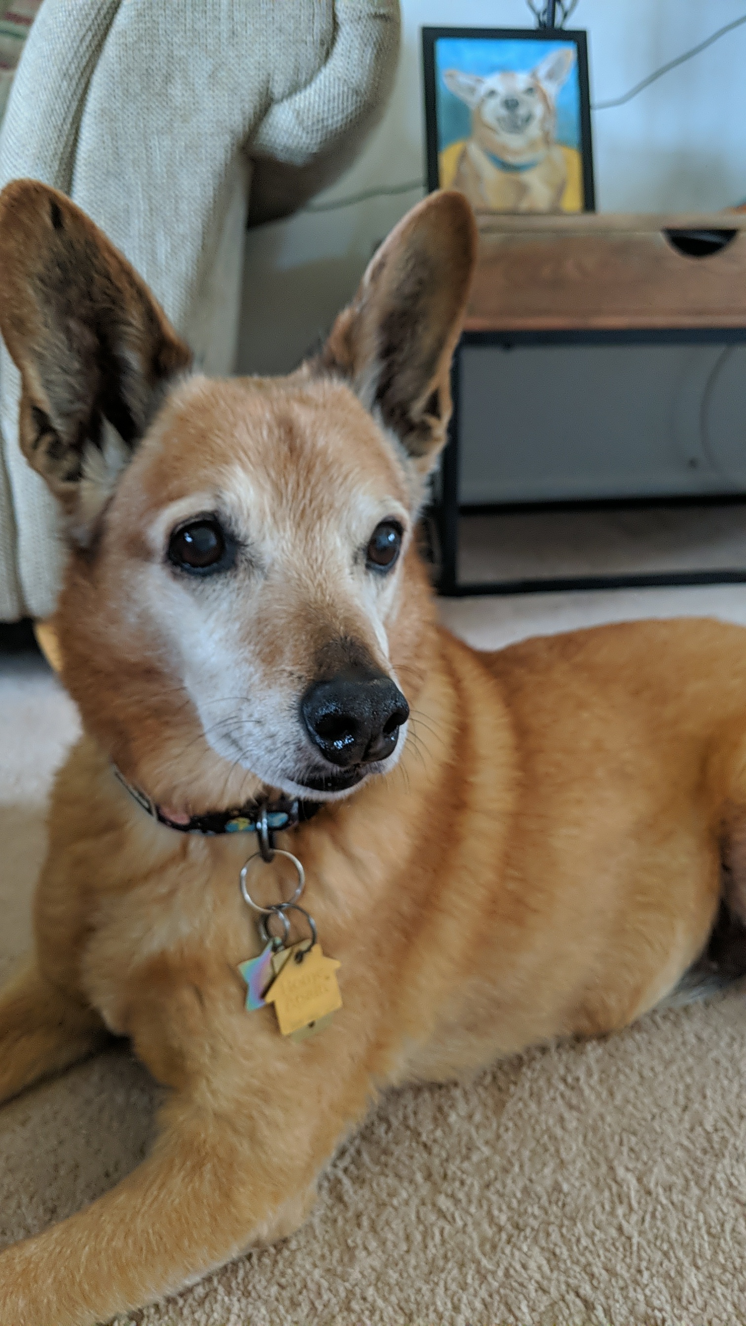 Dapper shots | Scrolller