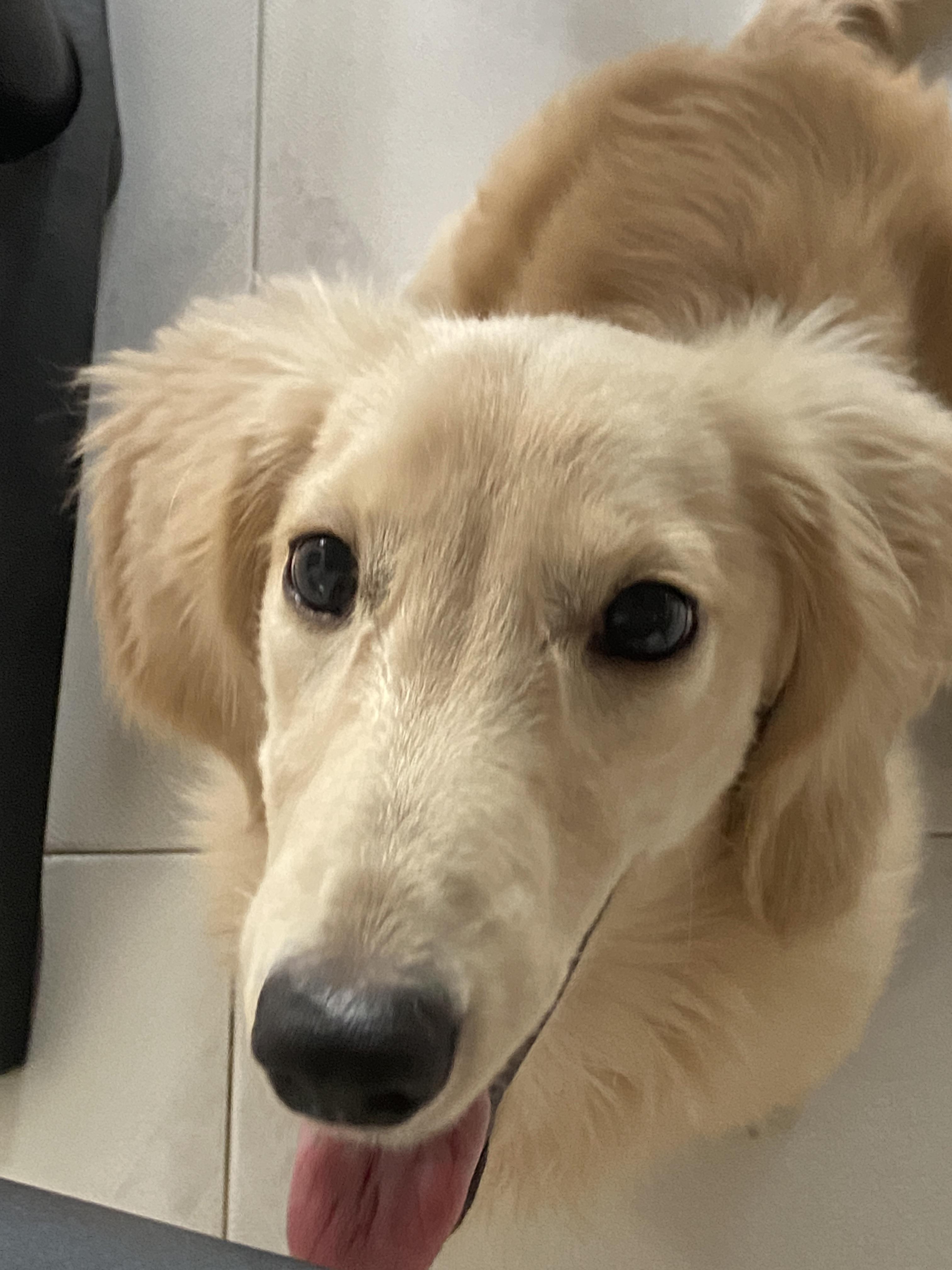 [OC] when i see snacks it's on sight!! | Scrolller