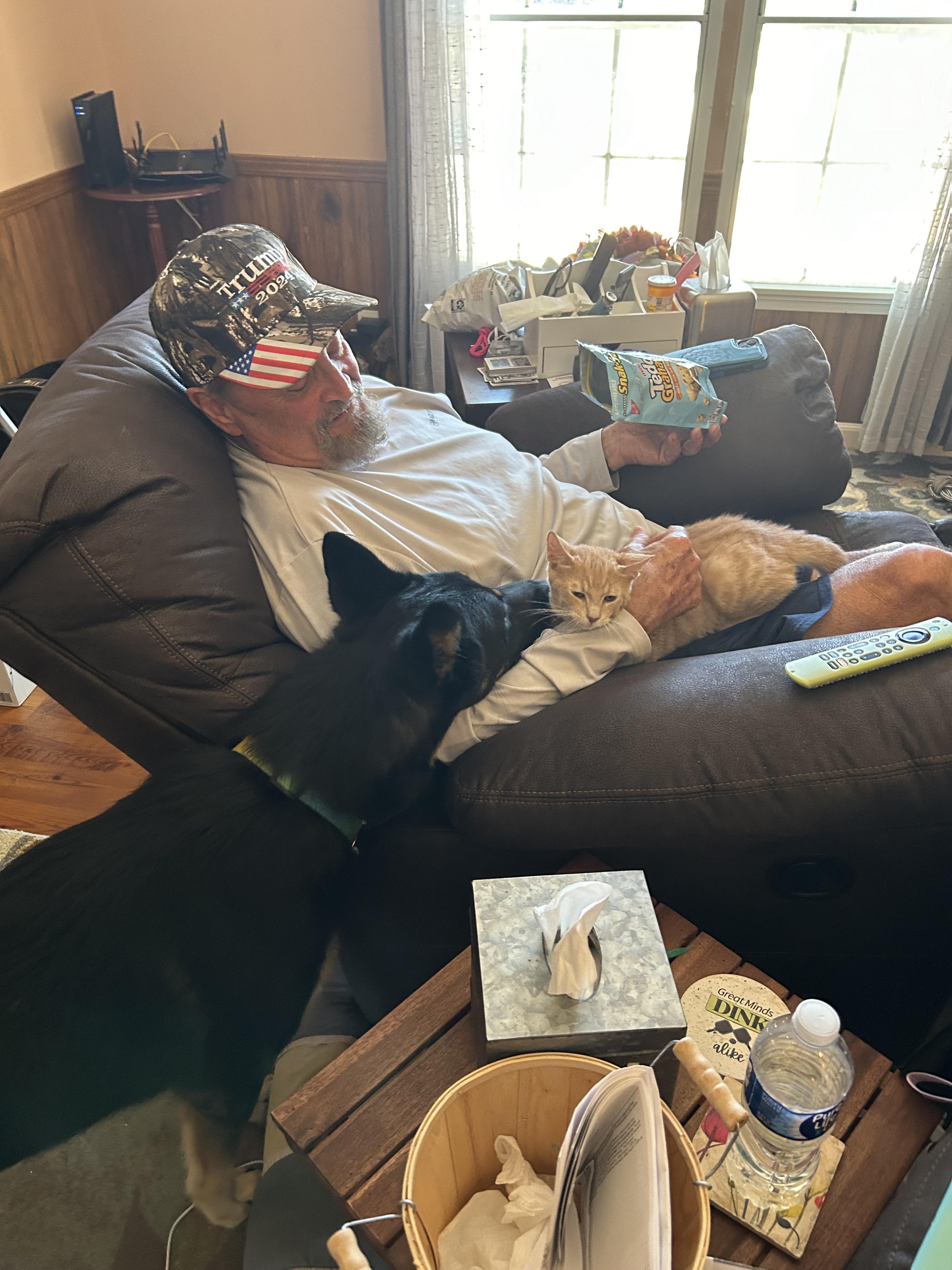 Discover more like Trump: I posted these sweet pictures of my husband to a cat sub here on ...