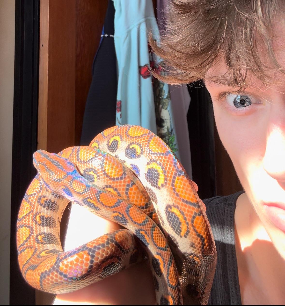 My brazillian rainbow boa | Scrolller