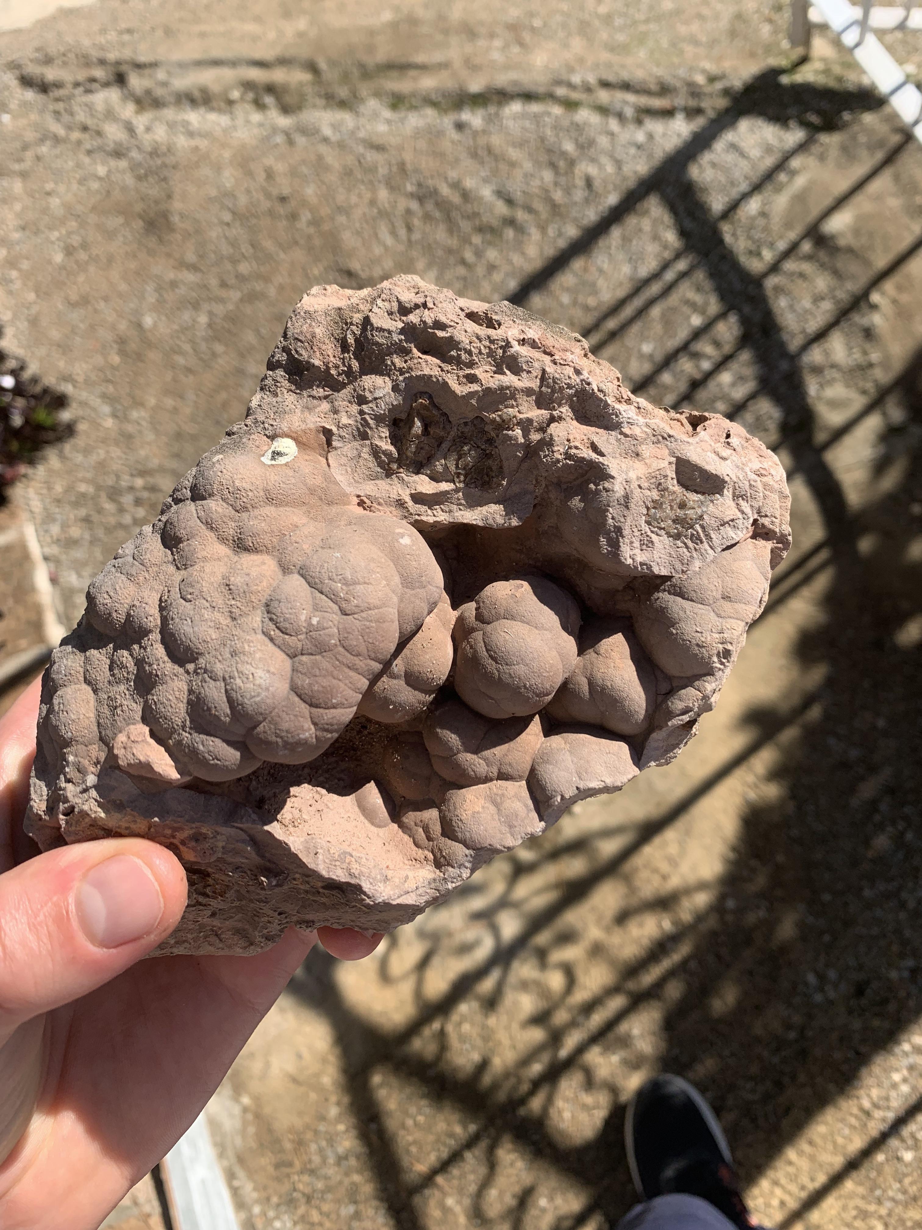 I think this is poop. | Scrolller