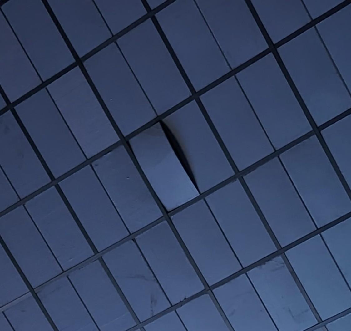 Can we talk about the ceiling tiles at memorial coliseum? Or are we still just going ignoring it ...